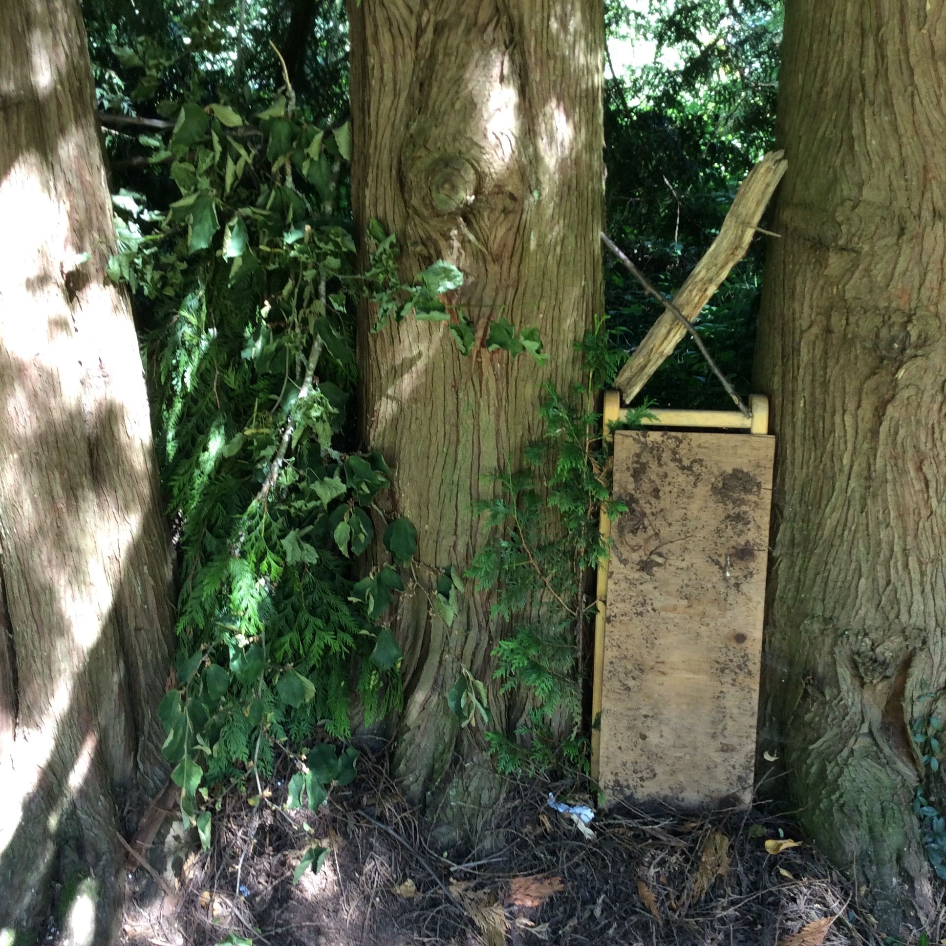 Multi Use Fort / Survival Shelter : 5 Steps - Instructables