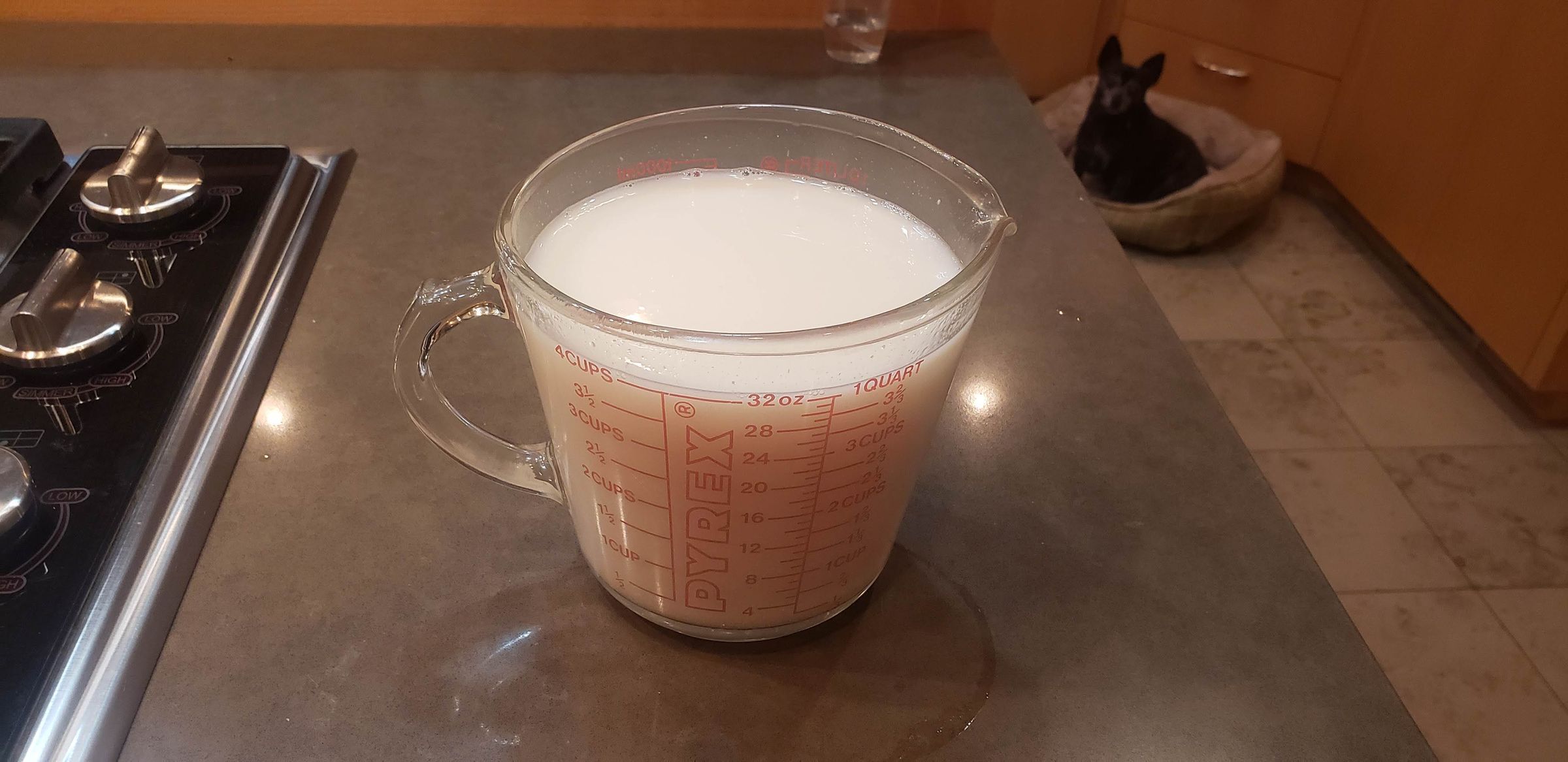 100% Edible Aliens Inspired Chestburster Gelatin Babycake : 14 Steps ...