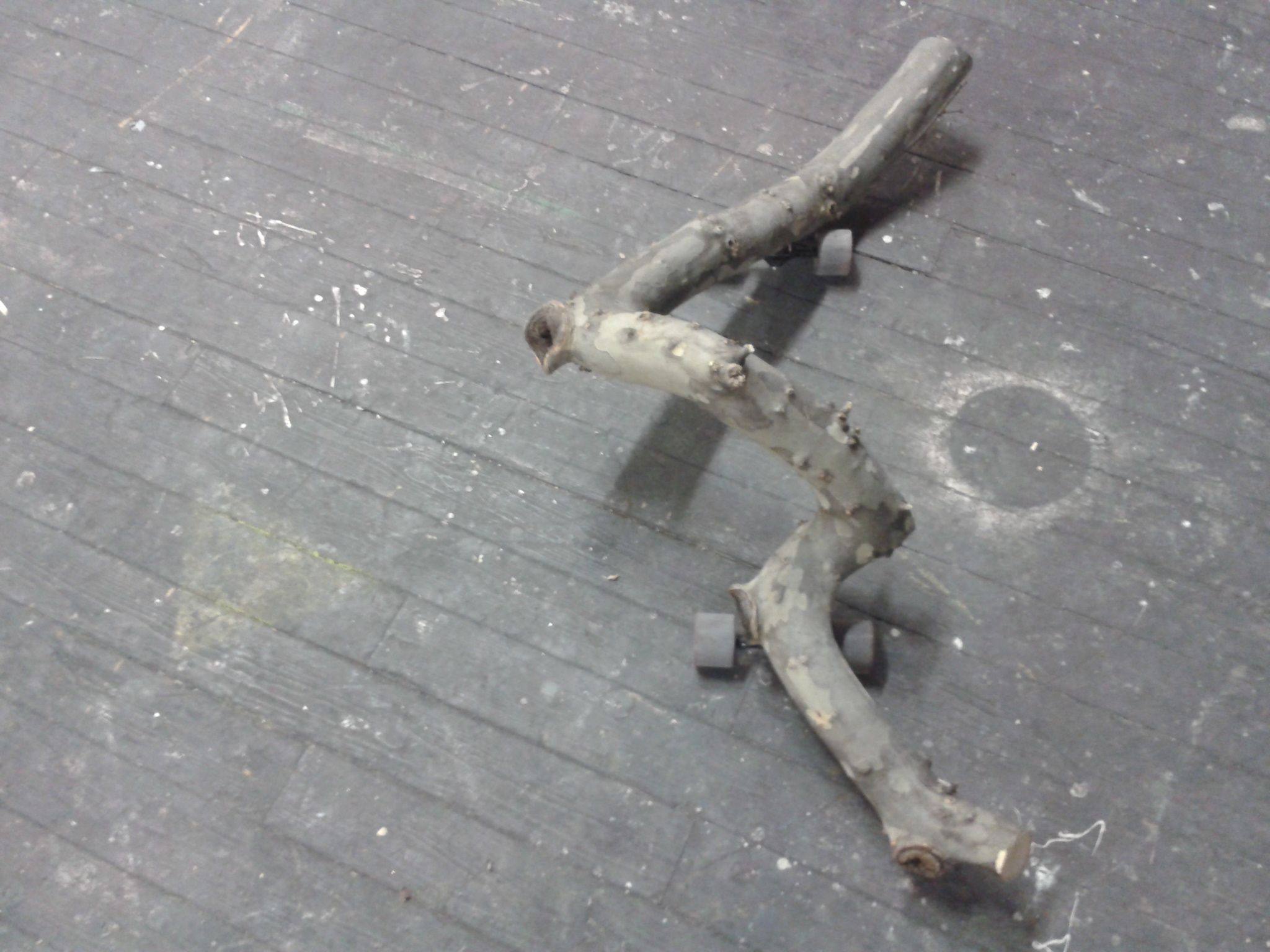 BRANCHBOARDING / TREE OF MOTION : 7 Steps (with Pictures) - Instructables