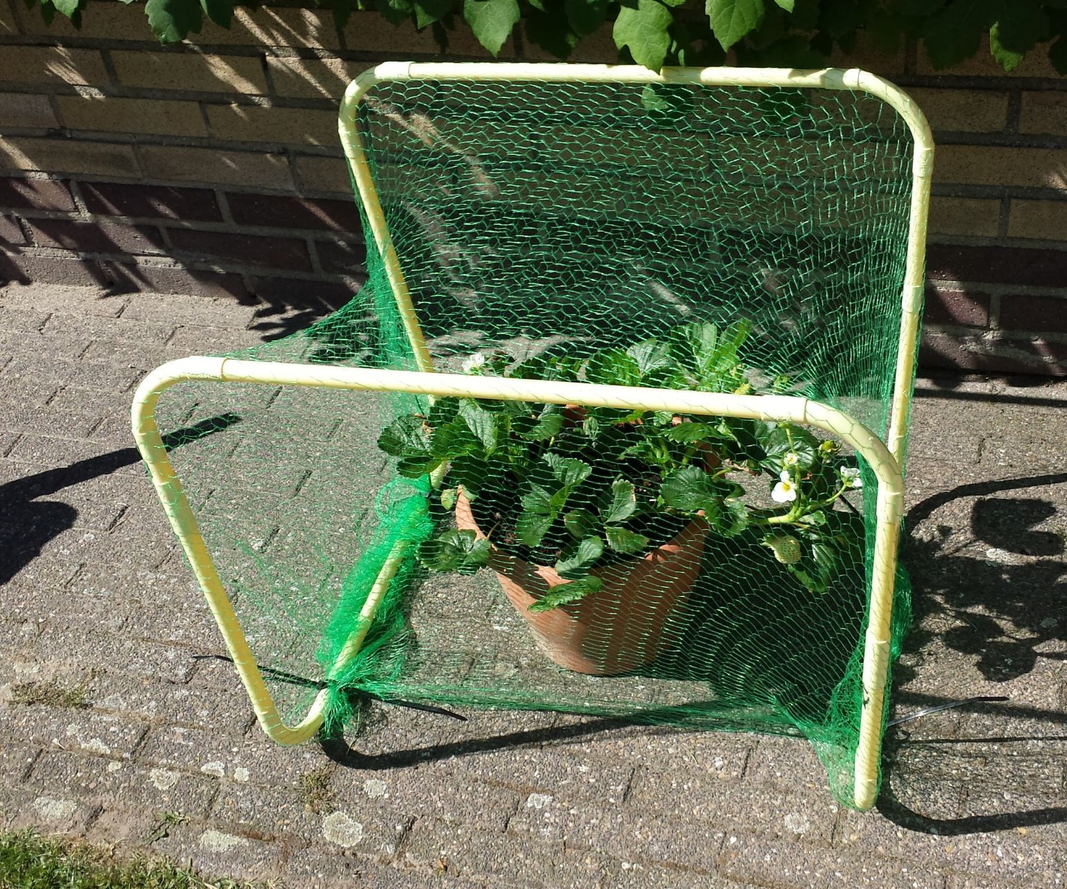 Plant Protection - Instructables