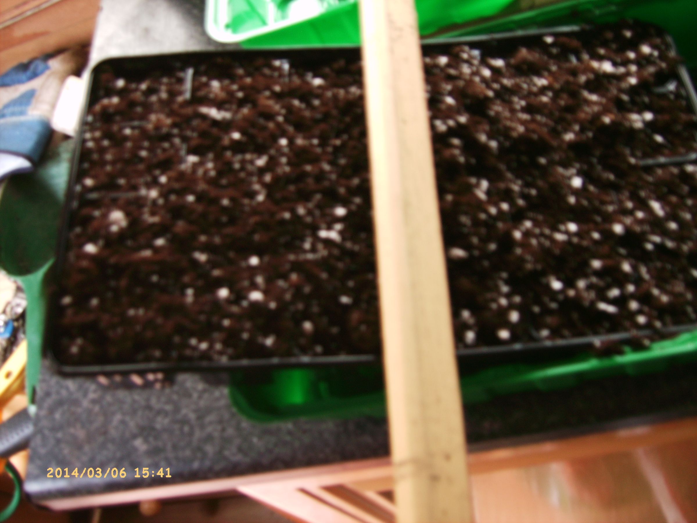 Need for Seed : 7 Steps - Instructables
