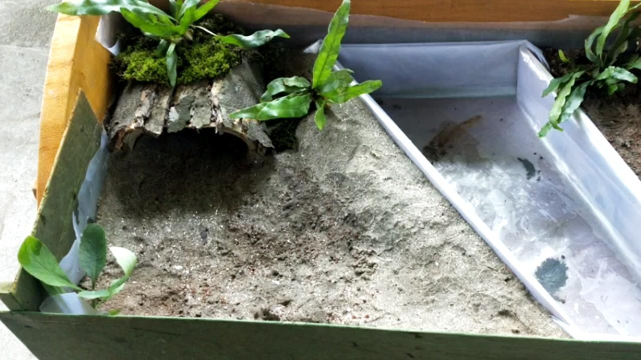 Turtle Habitat for Baby Turtles | Homemade Turtle Garden : 18 Steps ...