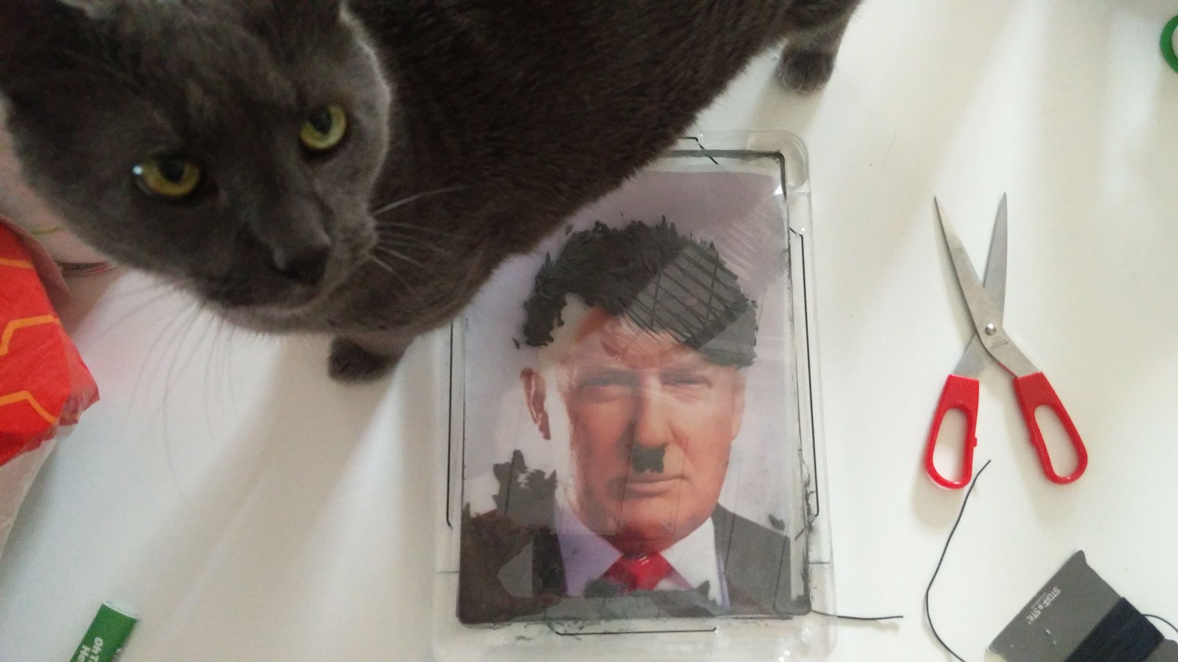 Customizeable Wooly Willy : 11 Steps - Instructables