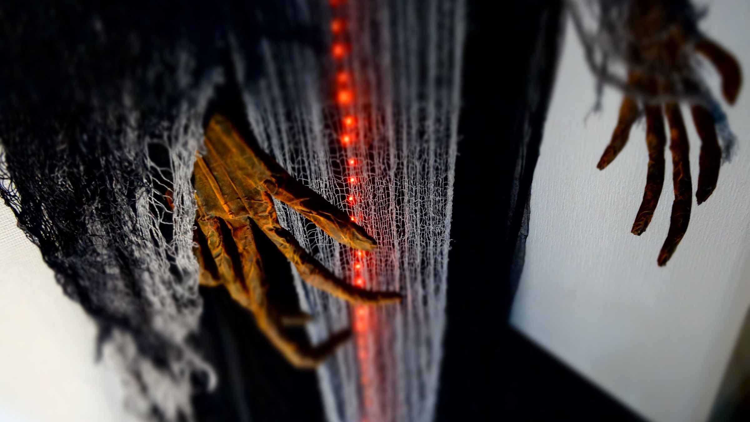 DIY Halloween Pumpkin Monster : 8 Steps (with Pictures) - Instructables