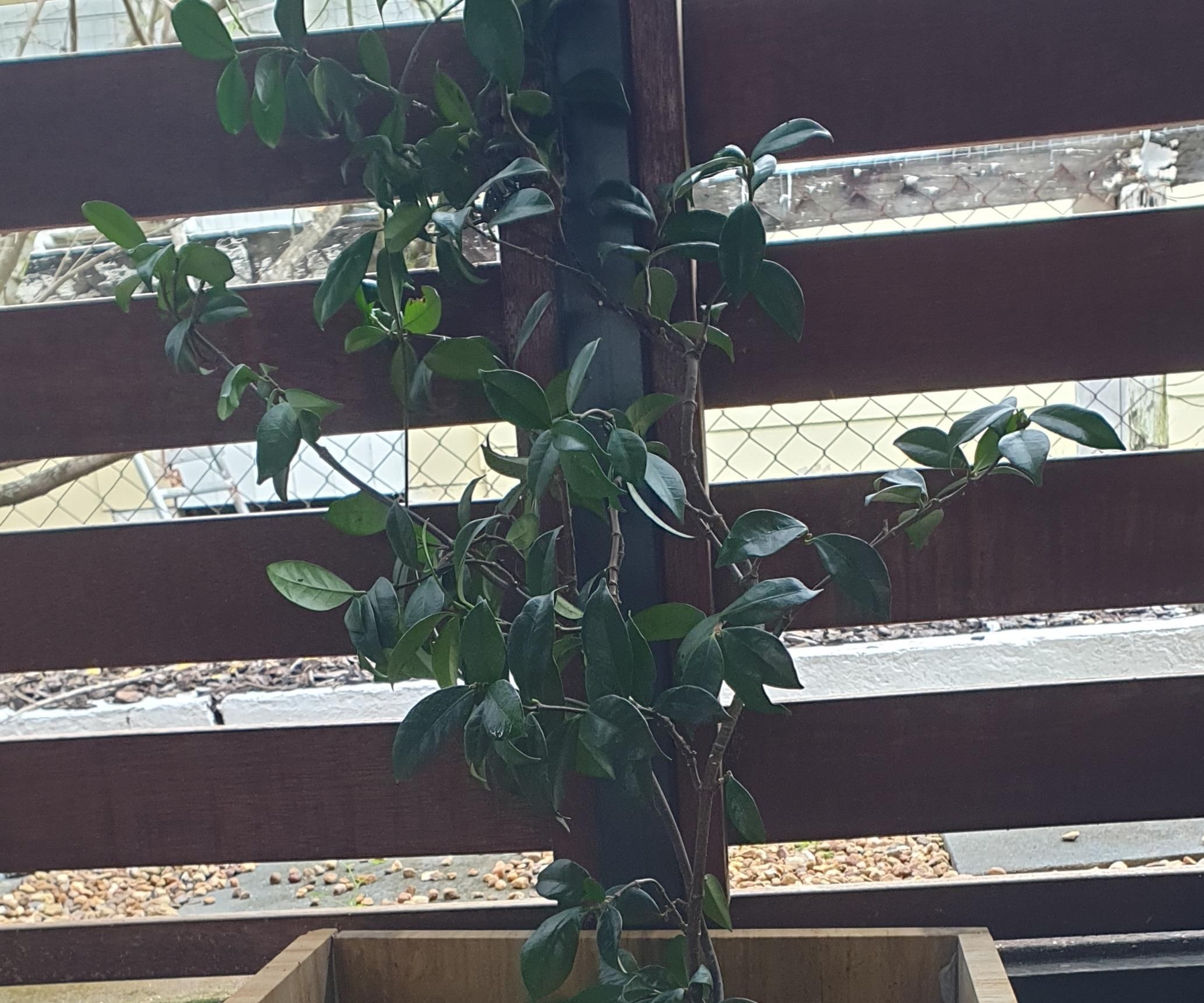 Only 3 Steps - PAVER POT PLANTER : 3 Steps - Instructables