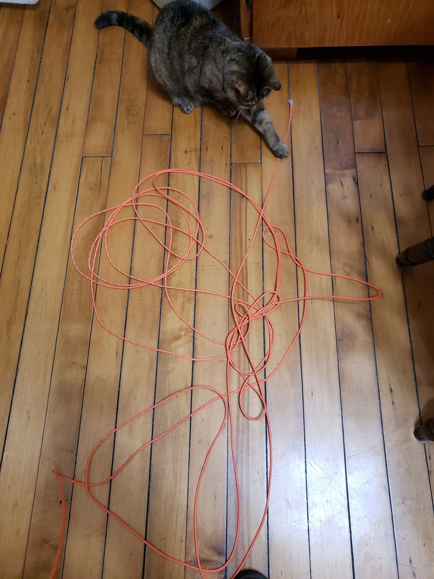 Paracord Daisy Chain : 7 Steps (with Pictures) - Instructables