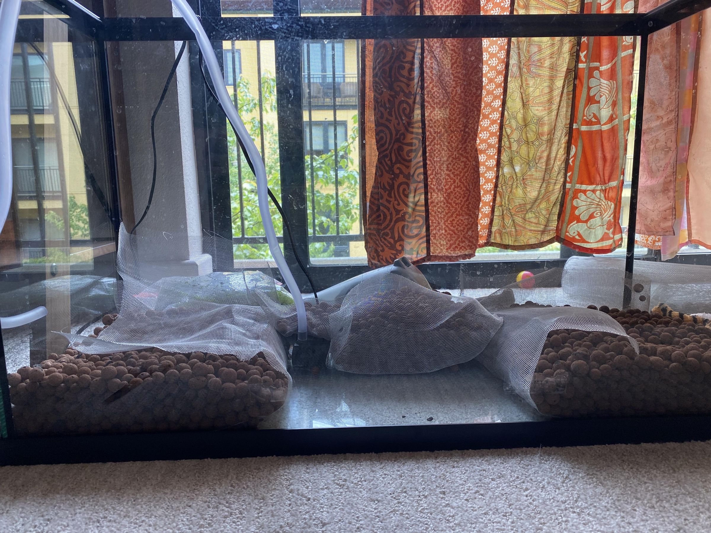 How to Build a Paludarium : 7 Steps (with Pictures) - Instructables