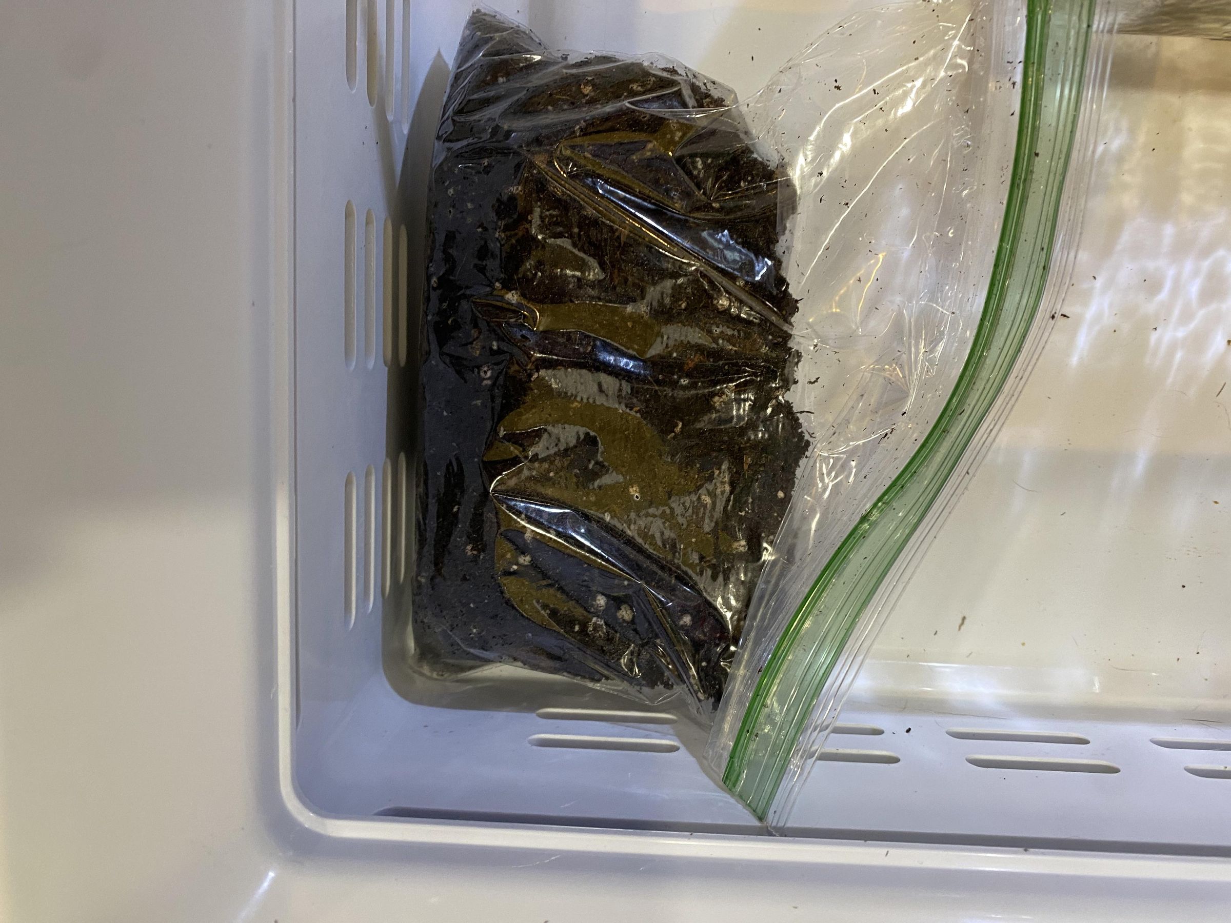 How to Stratify Seeds : 10 Steps (with Pictures) - Instructables