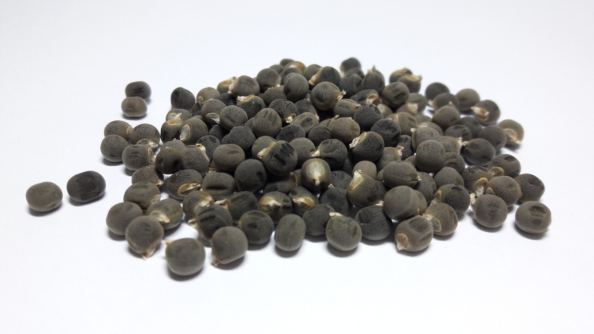 Coffee From Okra Seeds : 6 Steps (with Pictures) - Instructables