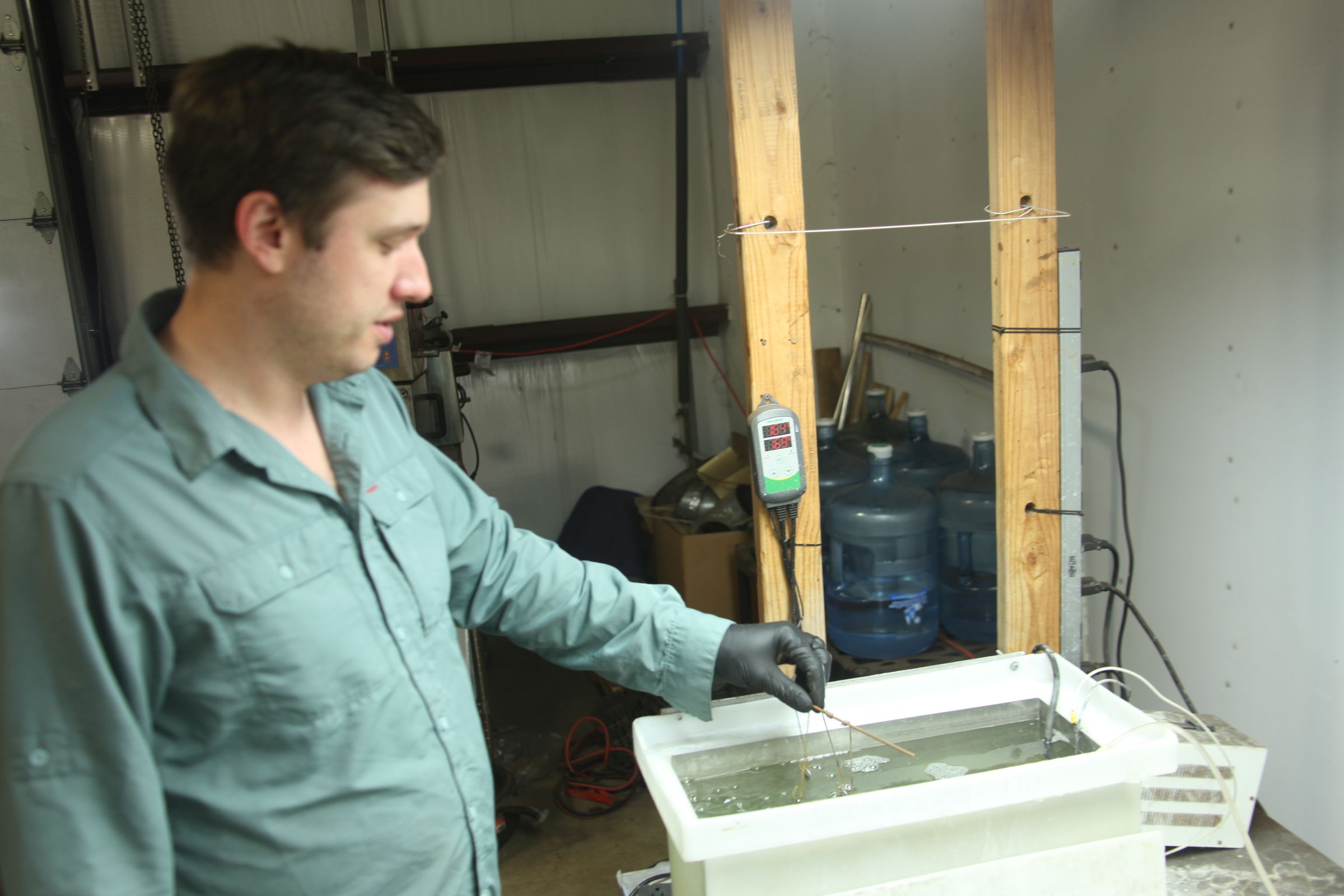 24k Gold Plating : 7 Steps (with Pictures) - Instructables