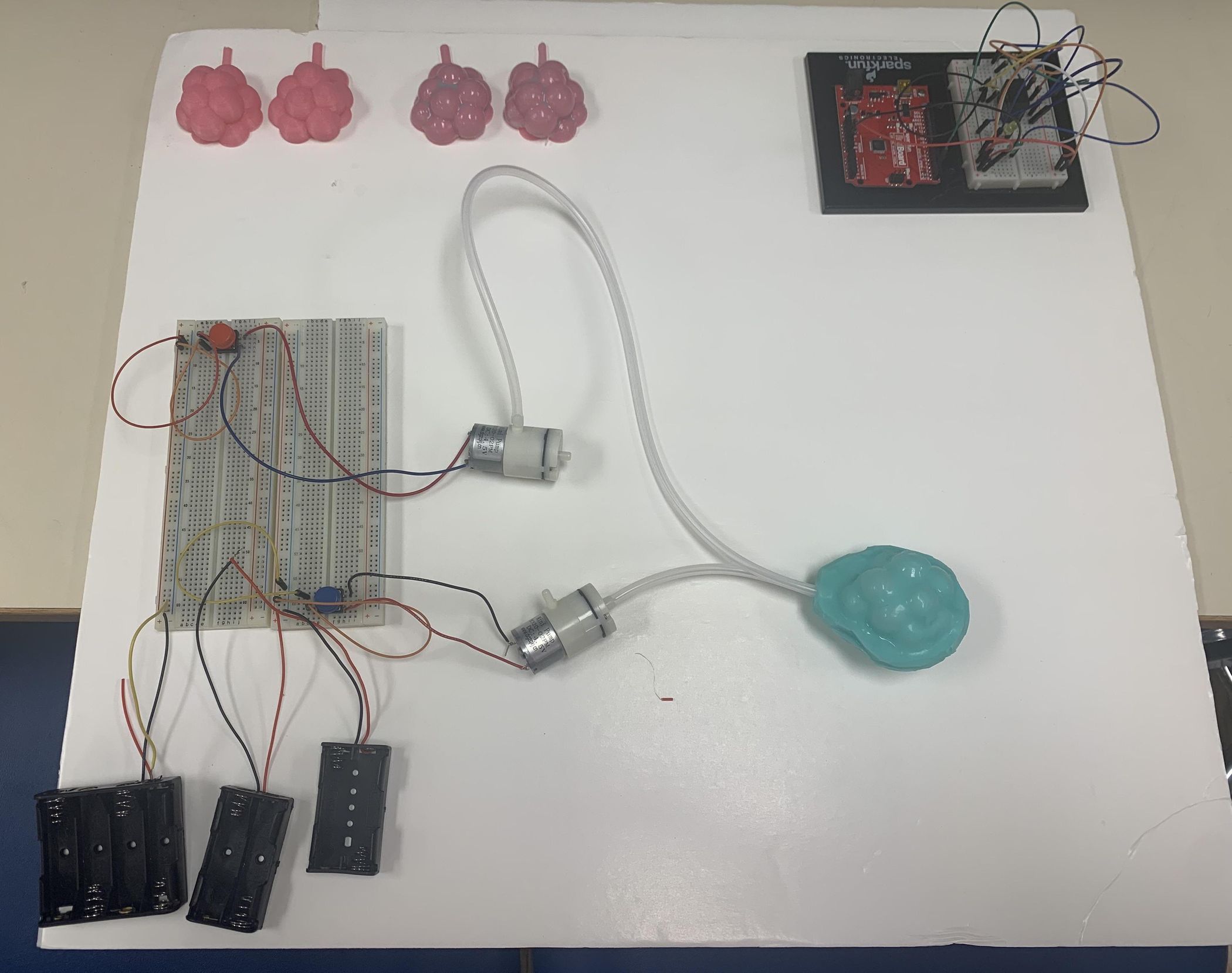 Nonliving But Breathing Model of Lung Alveoli : 8 Steps - Instructables
