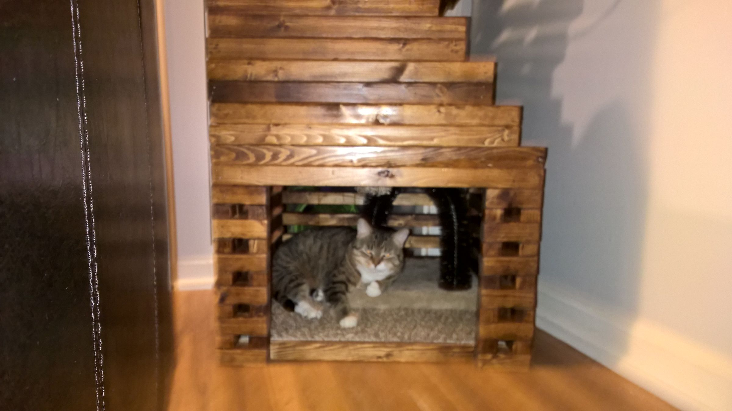 The Cats Tower : 7 Steps (with Pictures) - Instructables