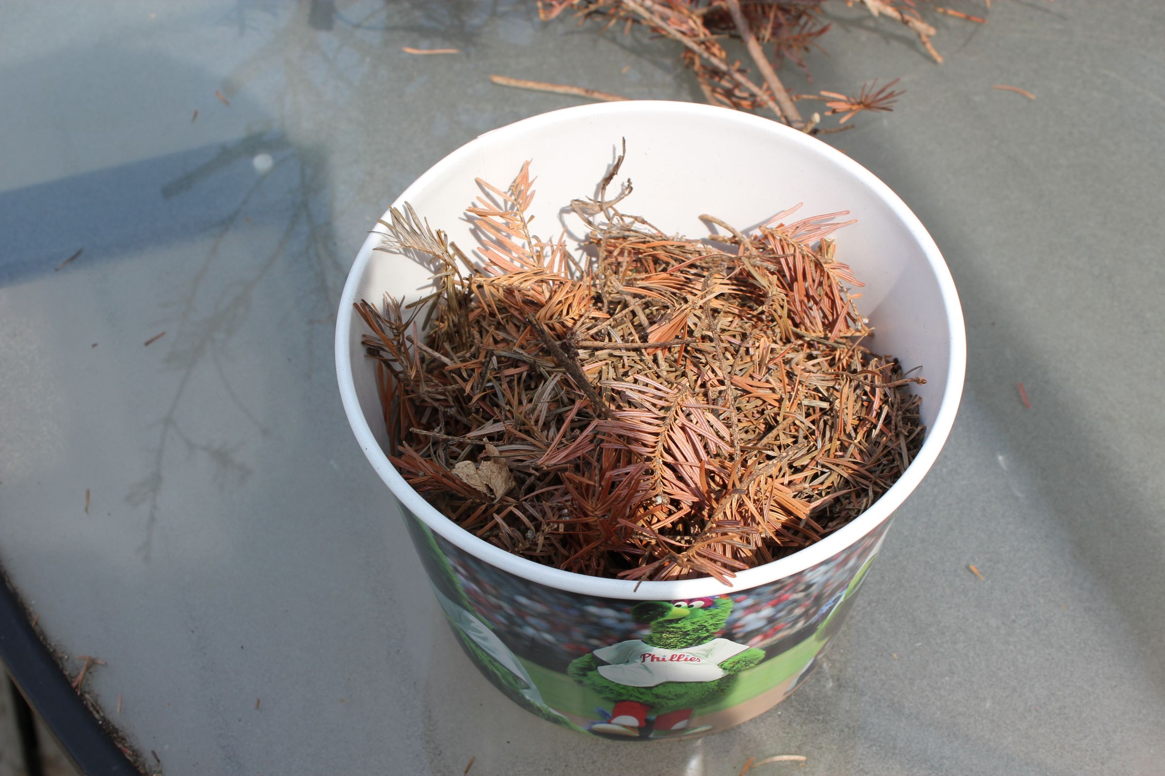 Alternative Mixed Media Sun Dried Paper Briquettes : 11 Steps (with ...