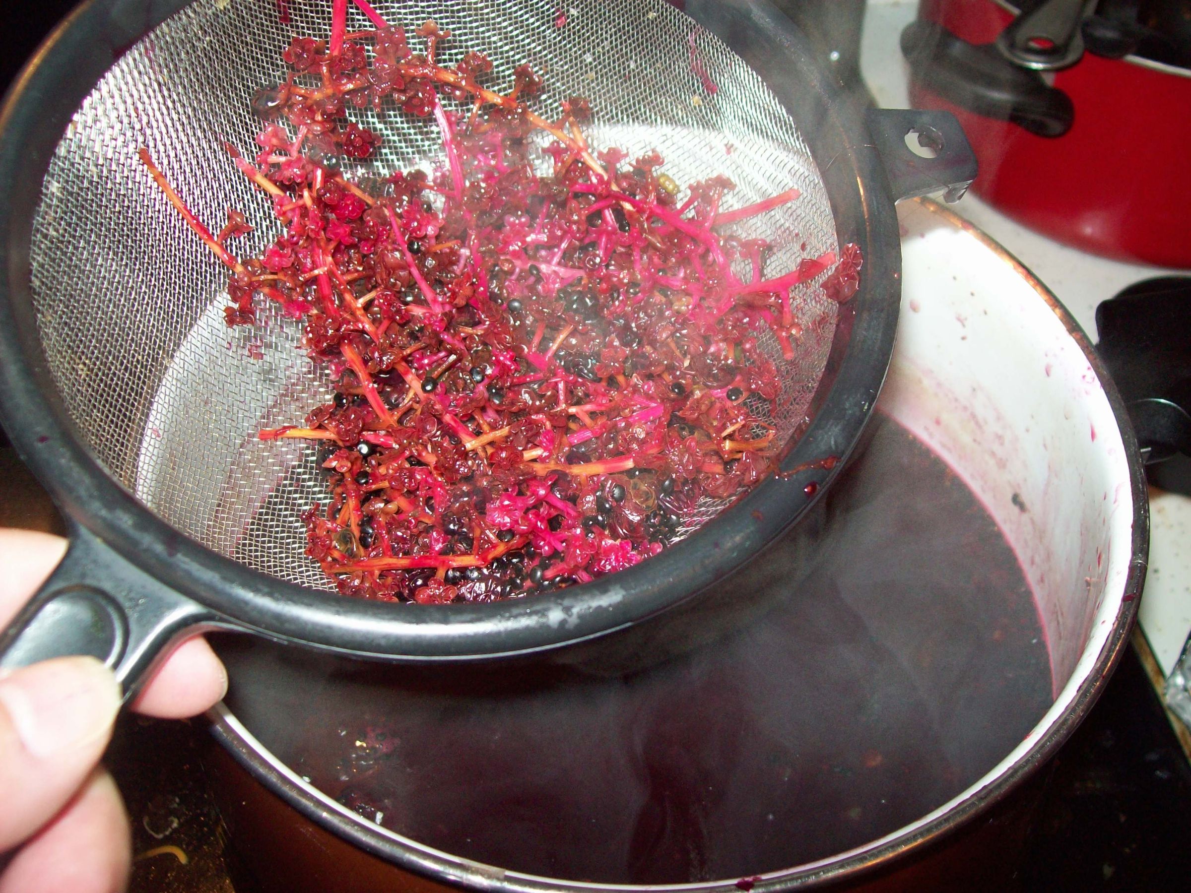 Natural Dye From Pokeweed : 6 Steps (with Pictures) - Instructables