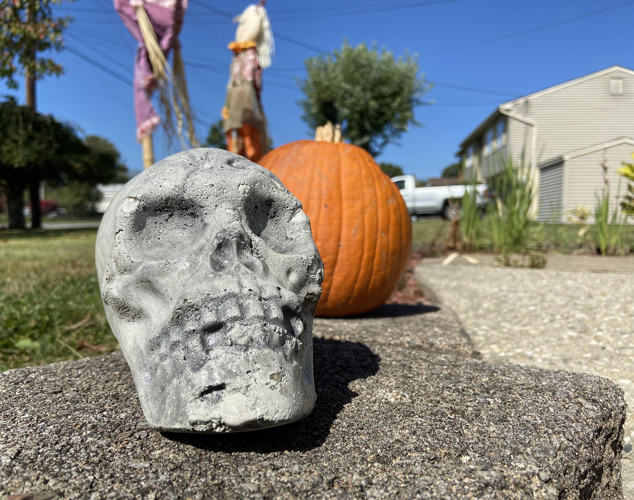 DIY Cement Skulls for Halloween : 6 Steps (with Pictures) - Instructables