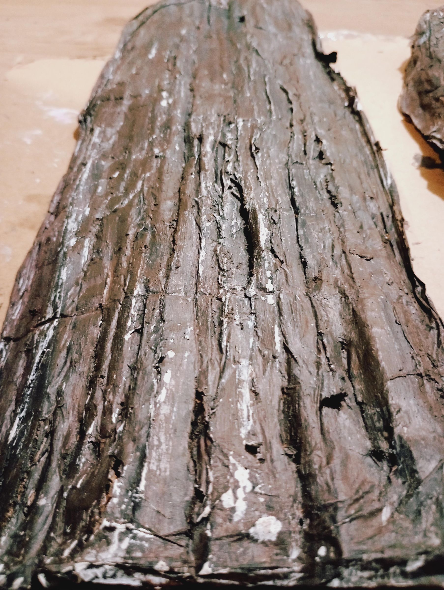 Making Realistic Tree Bark : 7 Steps - Instructables