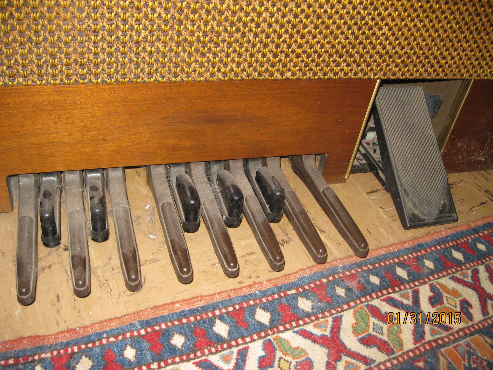 The Organ Donor Project- the Dissection : 5 Steps - Instructables