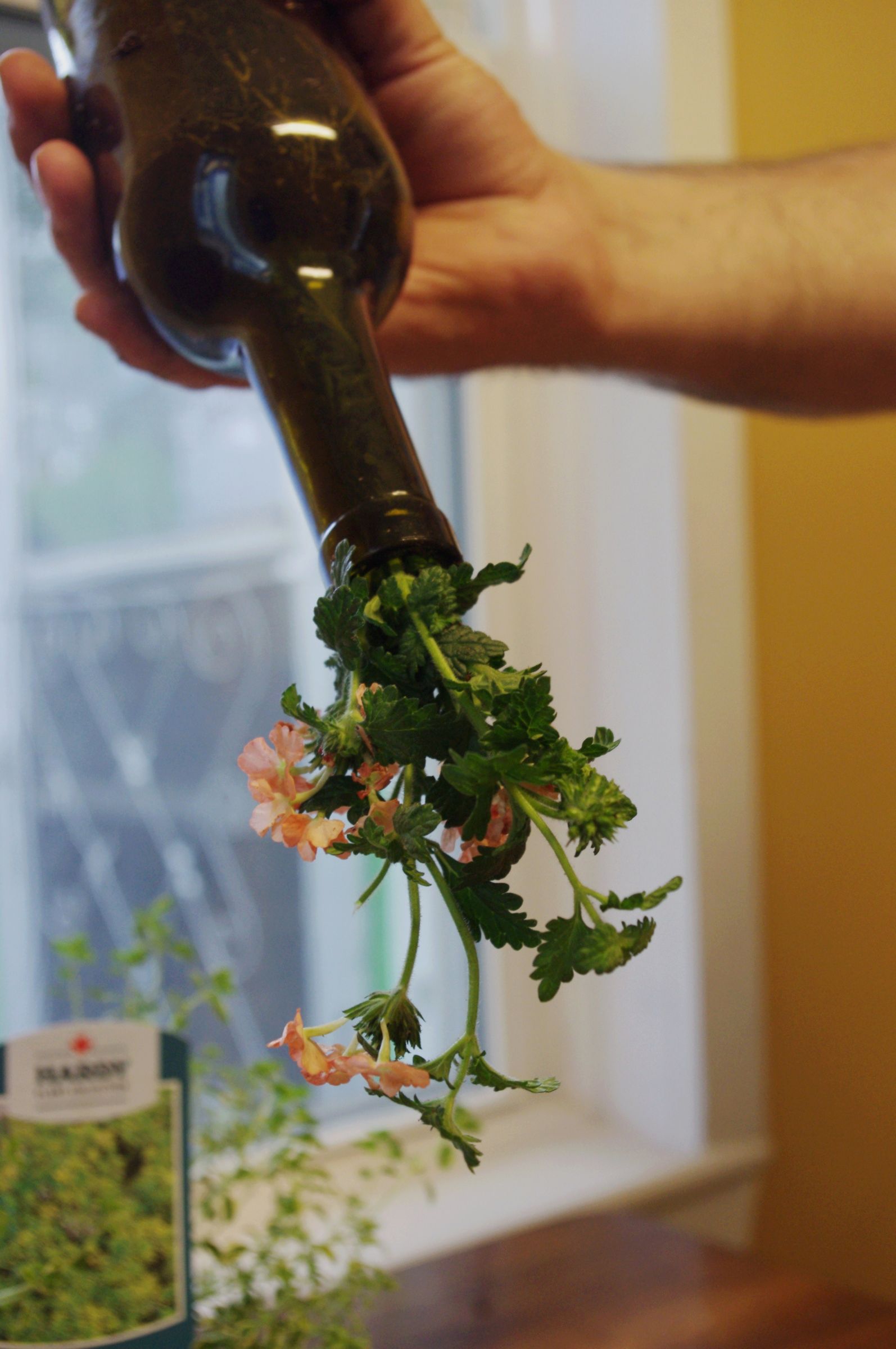 Inverted Wine Bottle Planter : 7 Steps (with Pictures) - Instructables