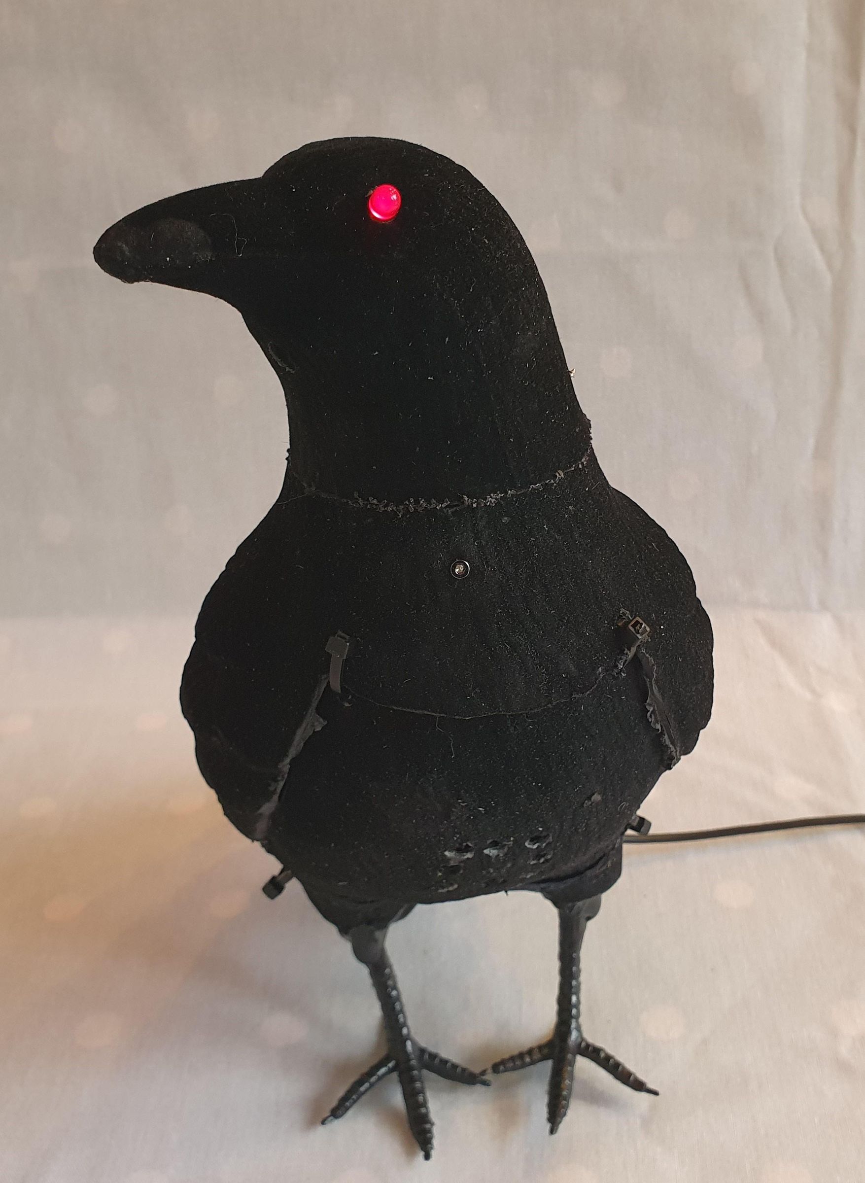 Raven Pi Security Camera : 7 Steps (with Pictures) - Instructables