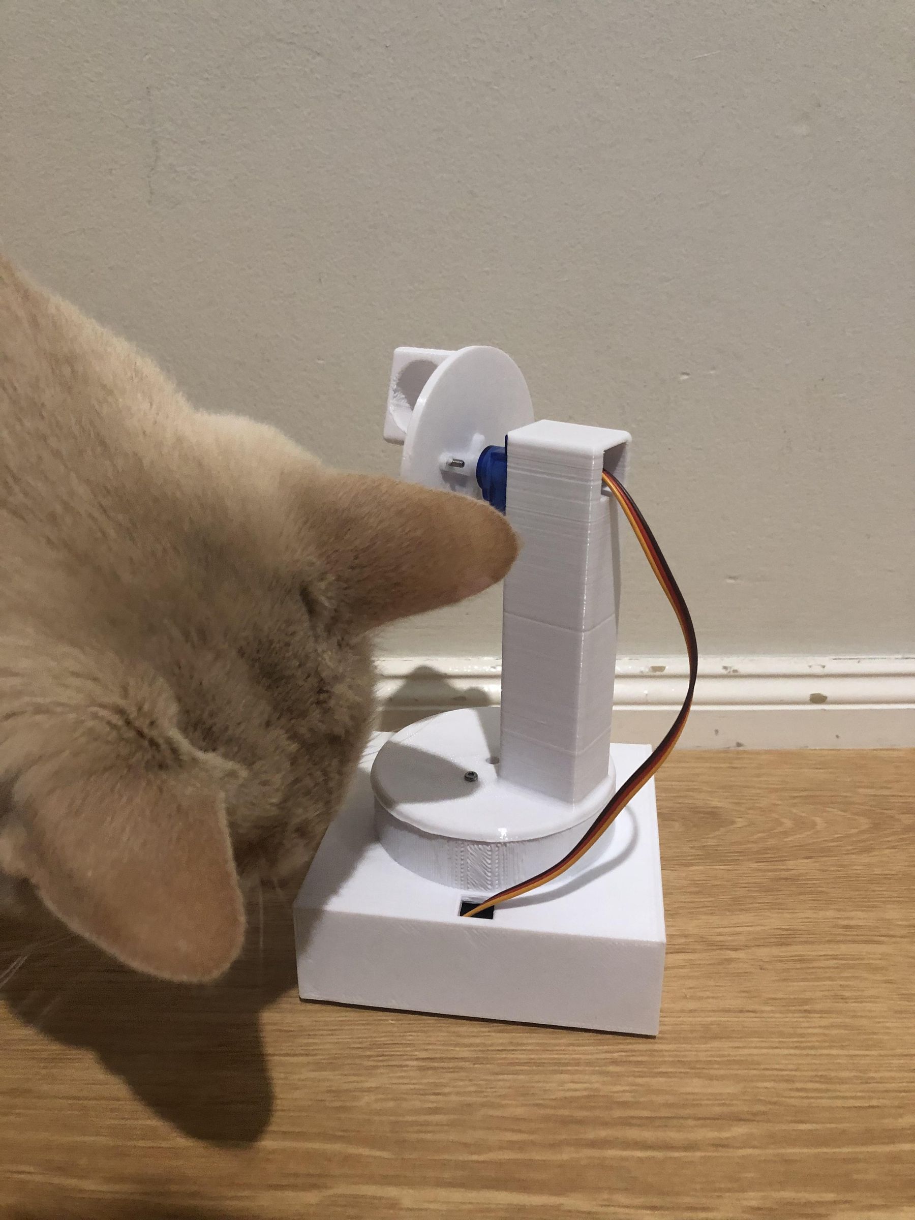 Laser Cat Toy : 6 Steps (with Pictures) - Instructables