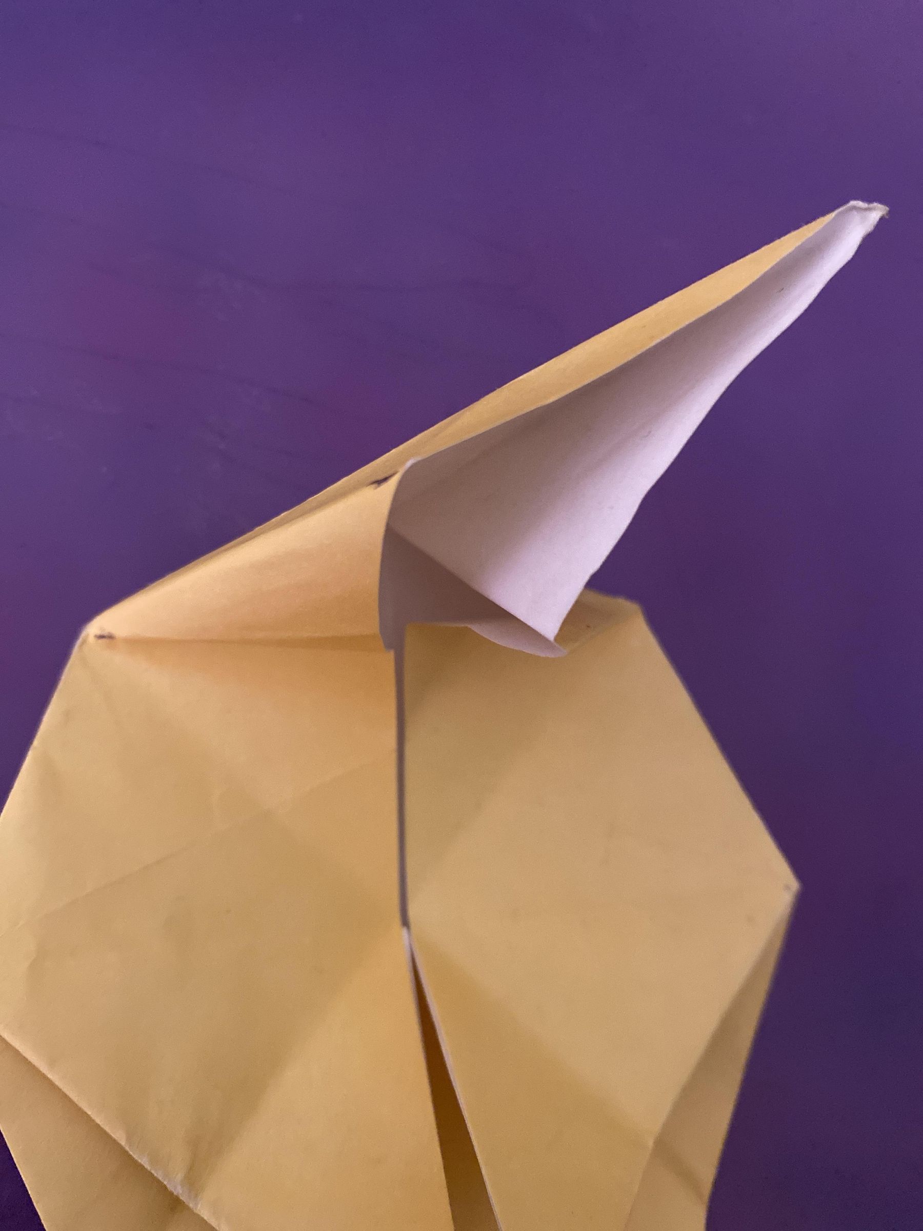 Origami Rat : 27 Steps - Instructables