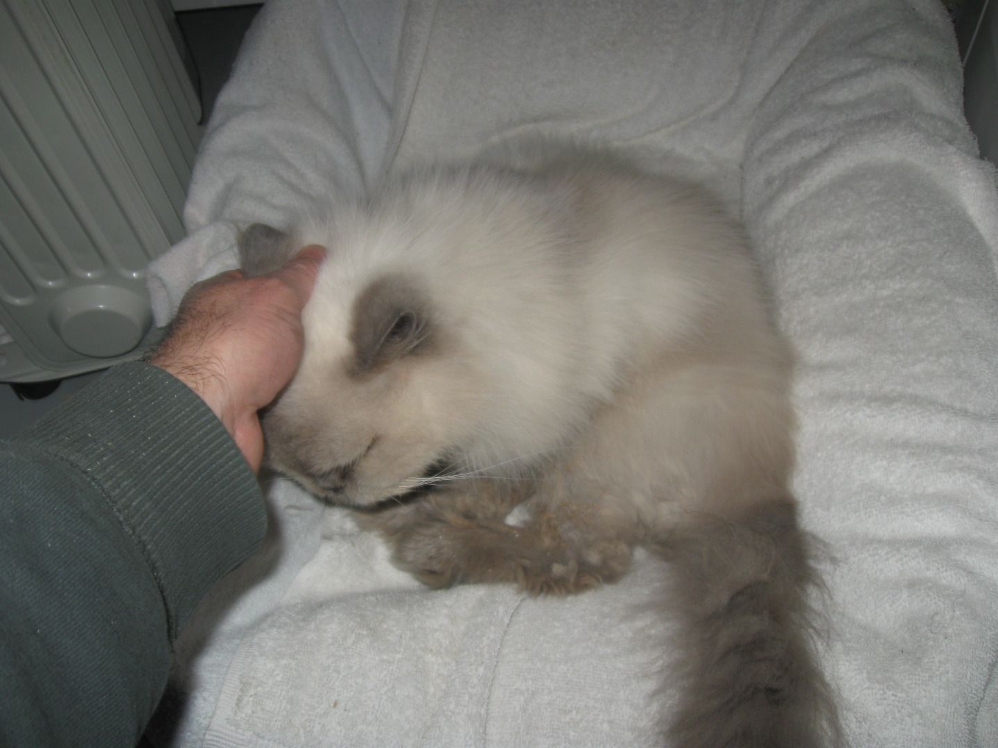 Cat Exercise Wheel Device : 10 Steps (with Pictures) - Instructables