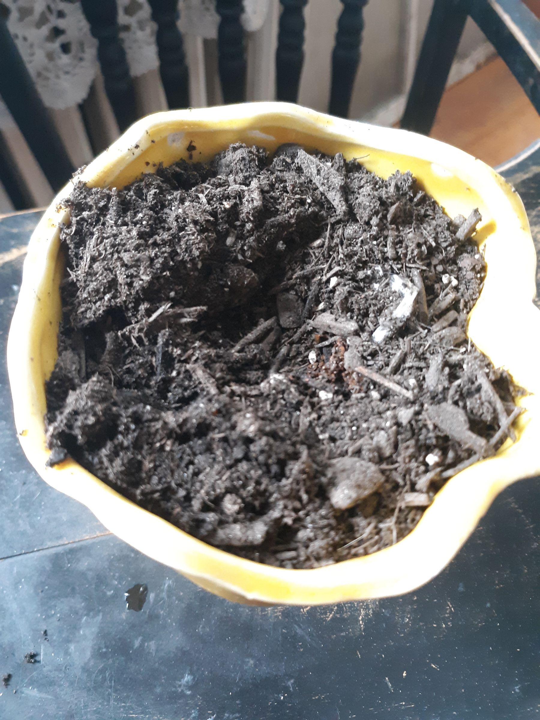 Reusing Tea Bags in the Garden : 3 Steps - Instructables