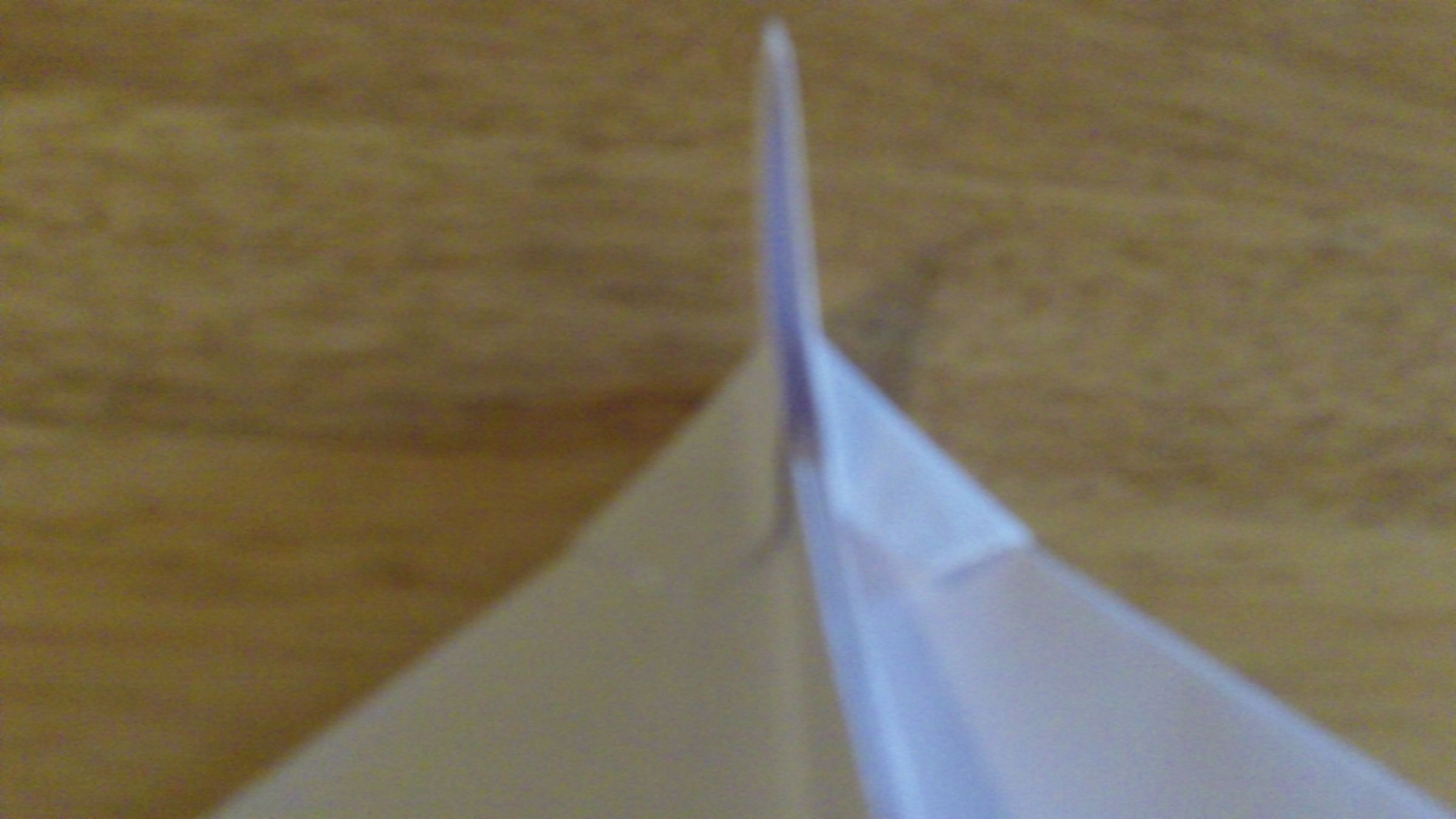 How to Make the Pelican Paper Airplane : 10 Steps - Instructables