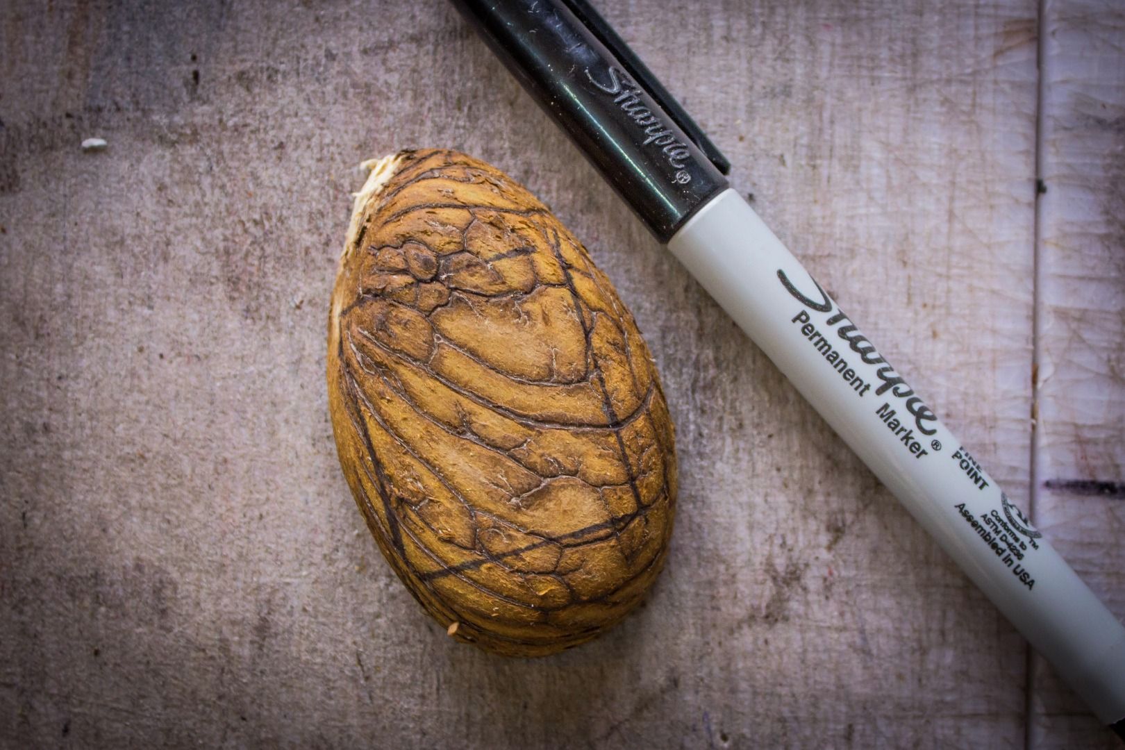 Carved Vegetable Ivory (Tagua) Bracelet : 16 Steps (with Pictures ...