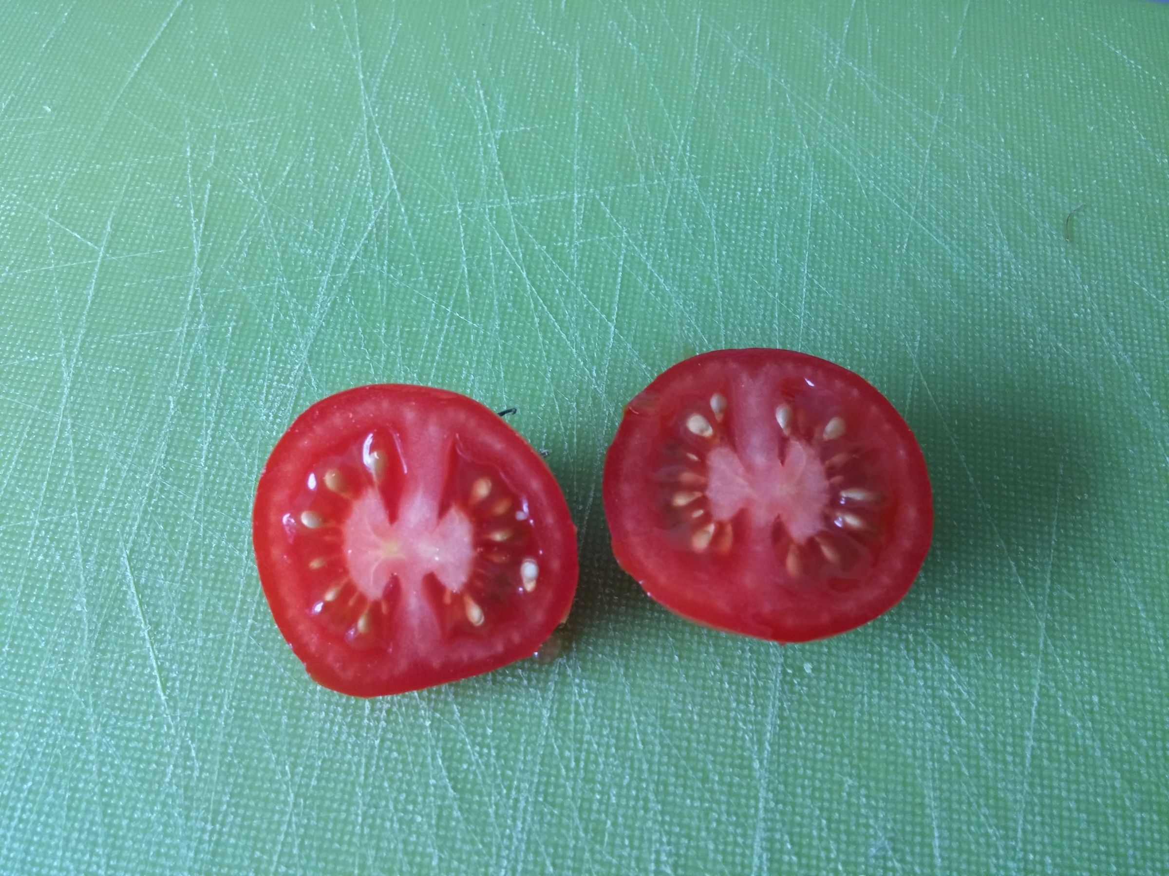 How to Harvest and Replant Tomato Seeds : 6 Steps (with Pictures ...