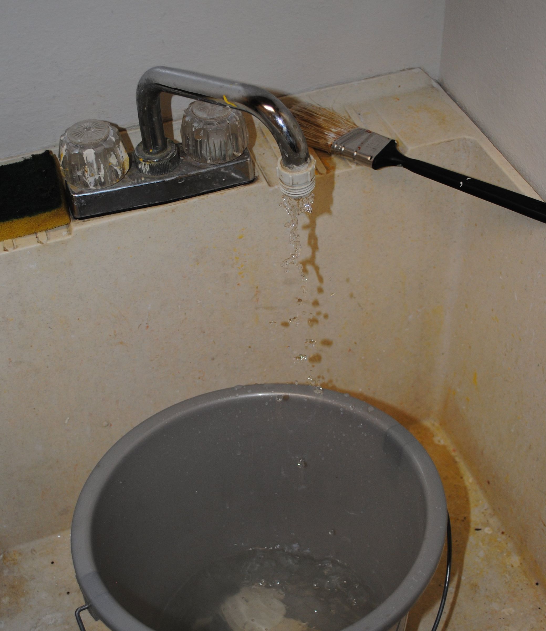 How to Bleach Sand Dollars : 6 Steps (with Pictures) - Instructables