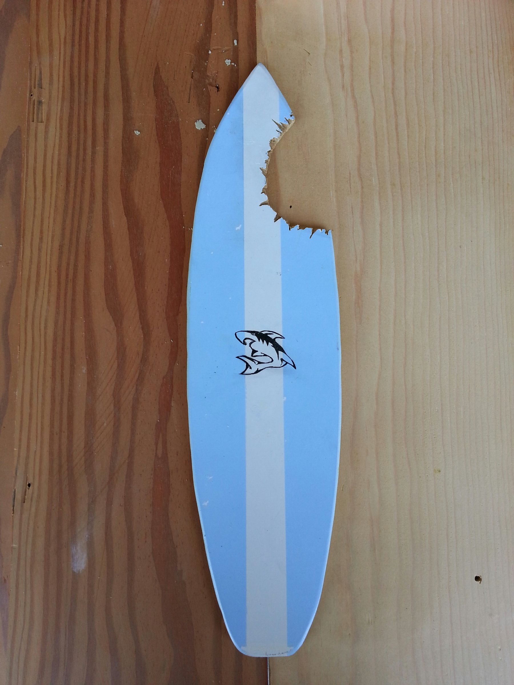Sharkbite Surfboard : 11 Steps - Instructables