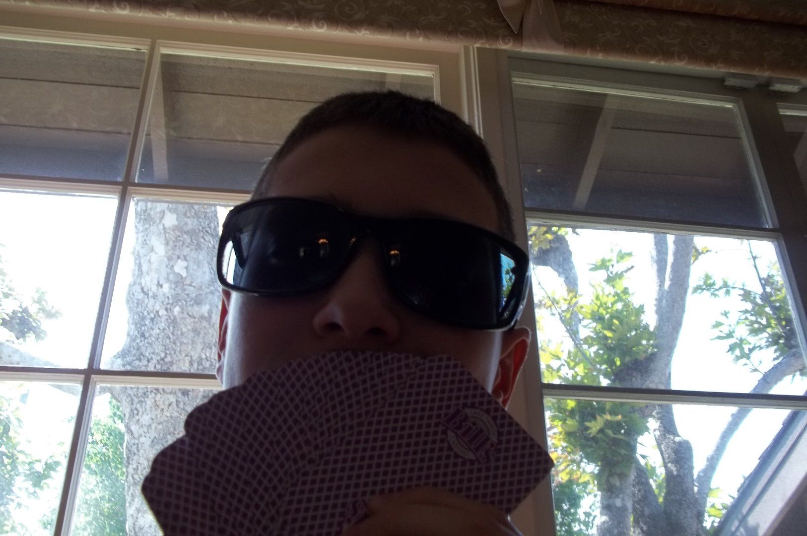 How to Play BS: a Game of Bluffing : 8 Steps (with Pictures ...