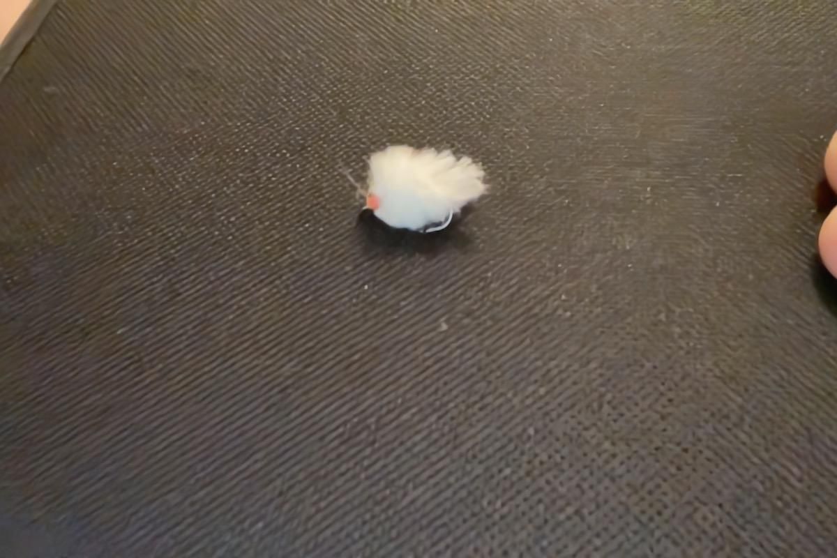 Eggstacy Egg Fly : 3 Steps - Instructables