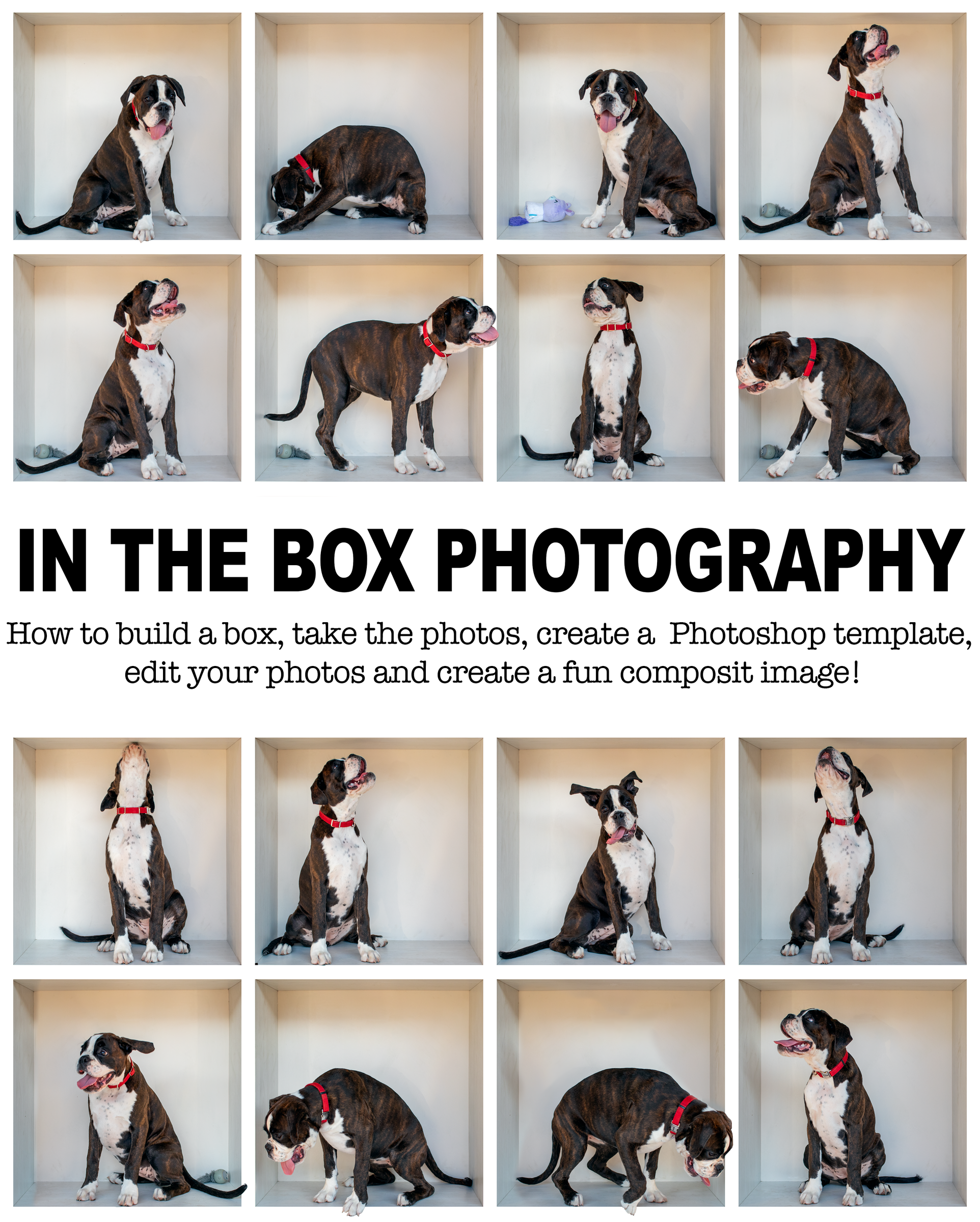 In the Box Photography : 10 Steps (with Pictures) - Instructables