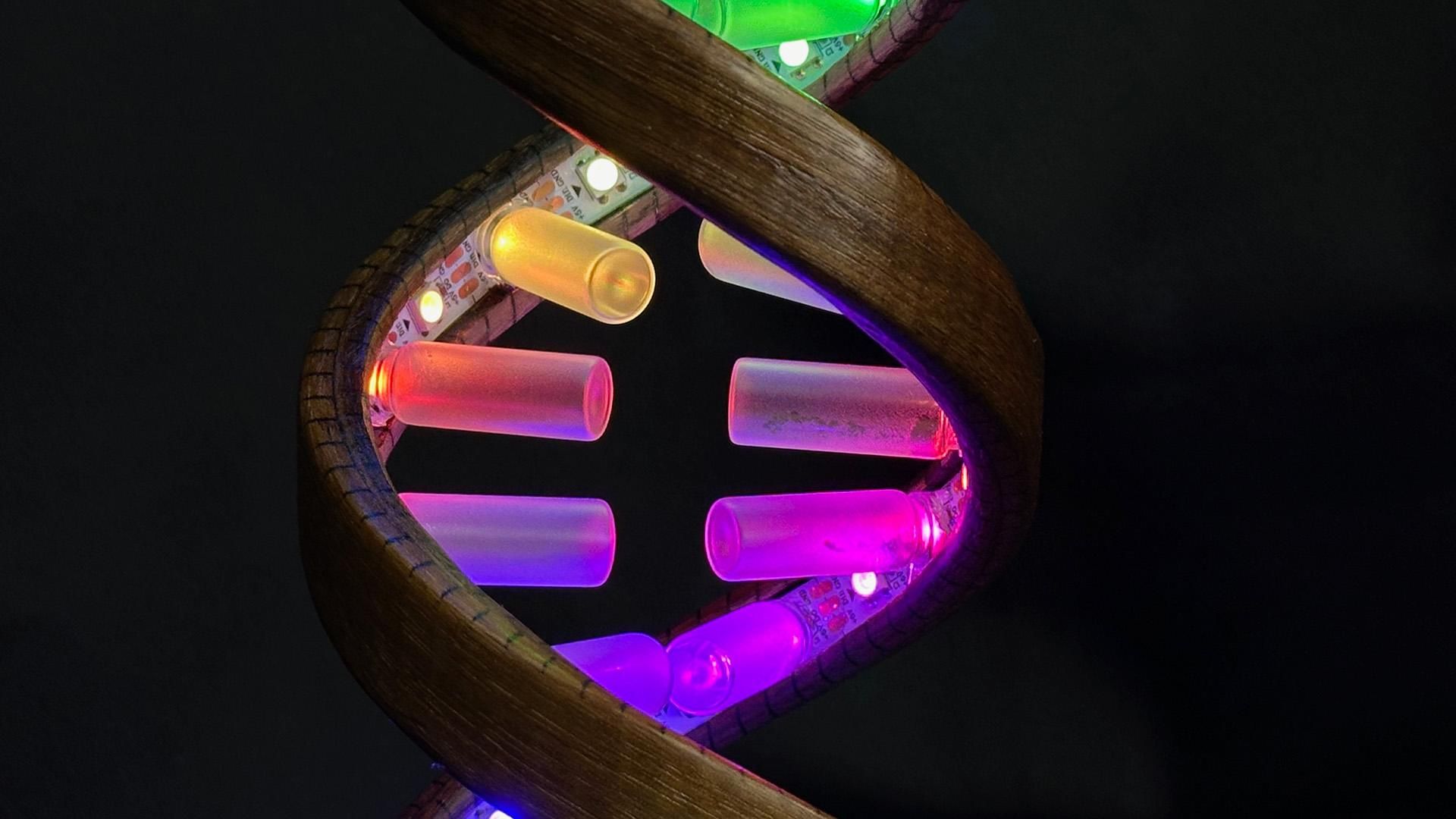 Gesture Controlled Wooden DNA Desk Lamp : 29 Steps (with Pictures ...