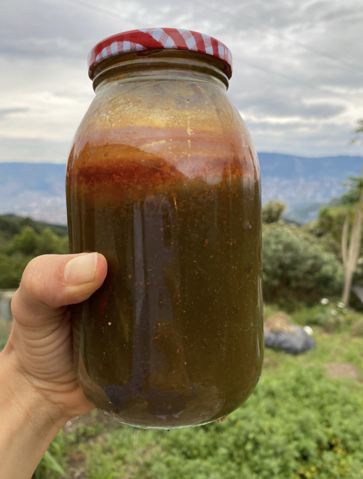 🇯🇵Japanese Inspired Partition for Open-concept House : 4 Steps (with ...