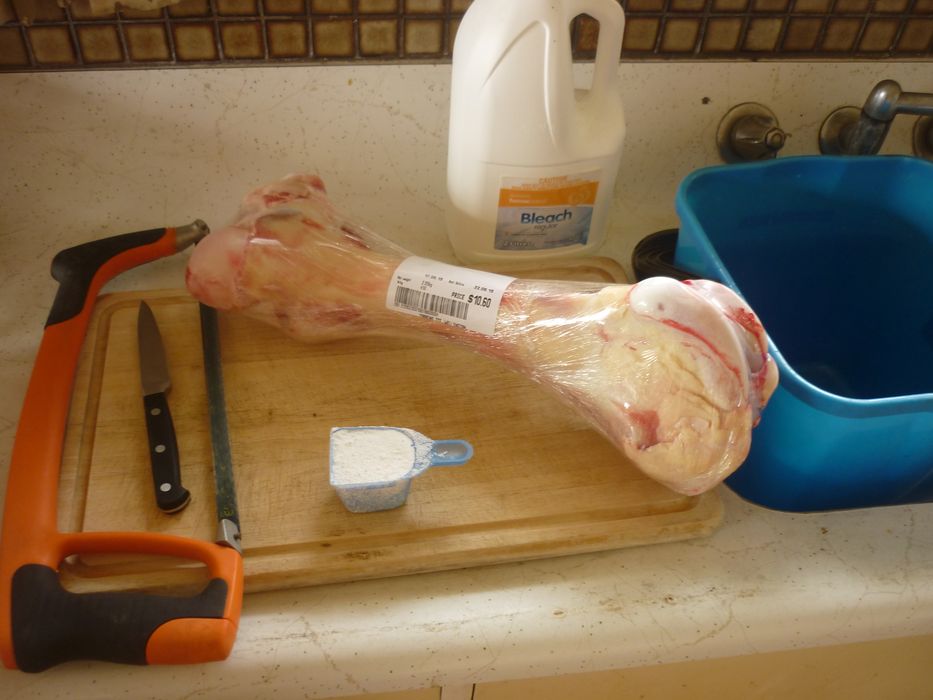 Prepare Bone for Carving : 8 Steps - Instructables