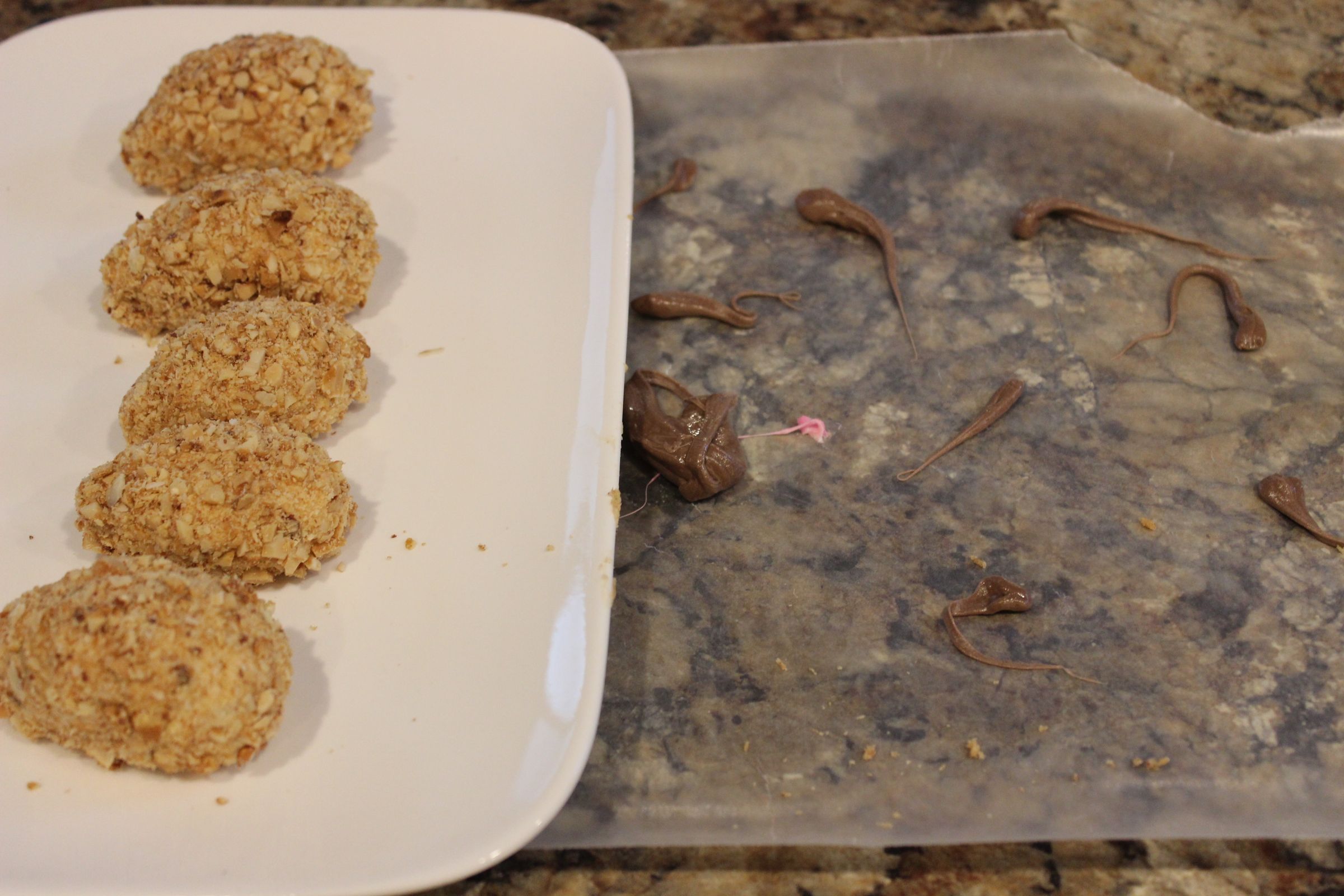 Owl and Mice Cheese Balls : 13 Steps (with Pictures) - Instructables