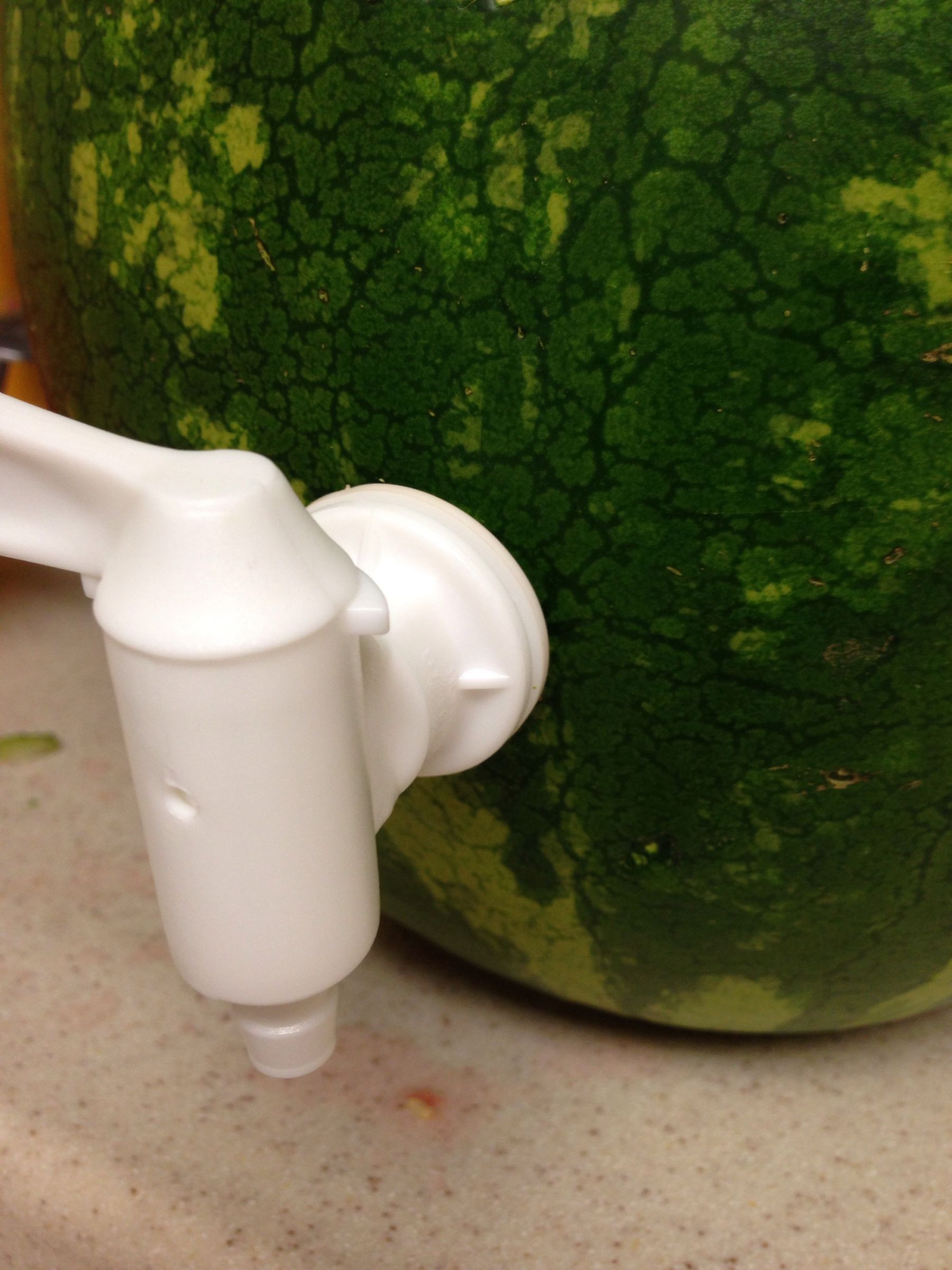 Watermelon Drink Dispenser/Keg : 7 Steps (with Pictures) - Instructables