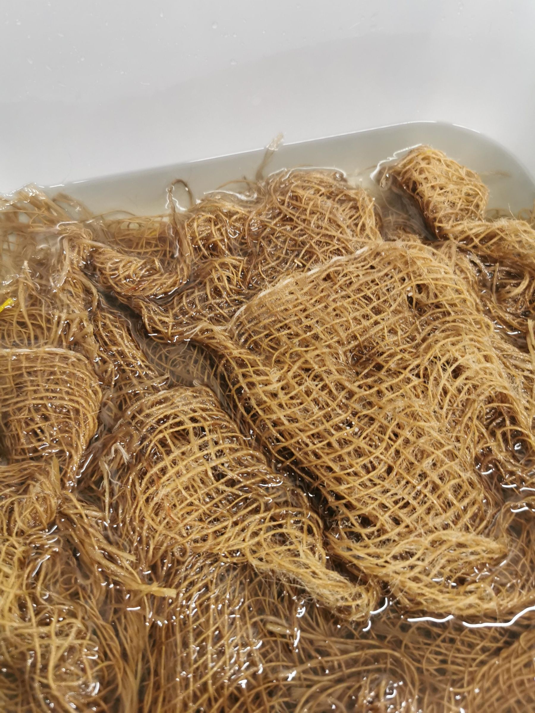 3D Printed and Mycelium Grown Beehives : 9 Steps (with Pictures ...