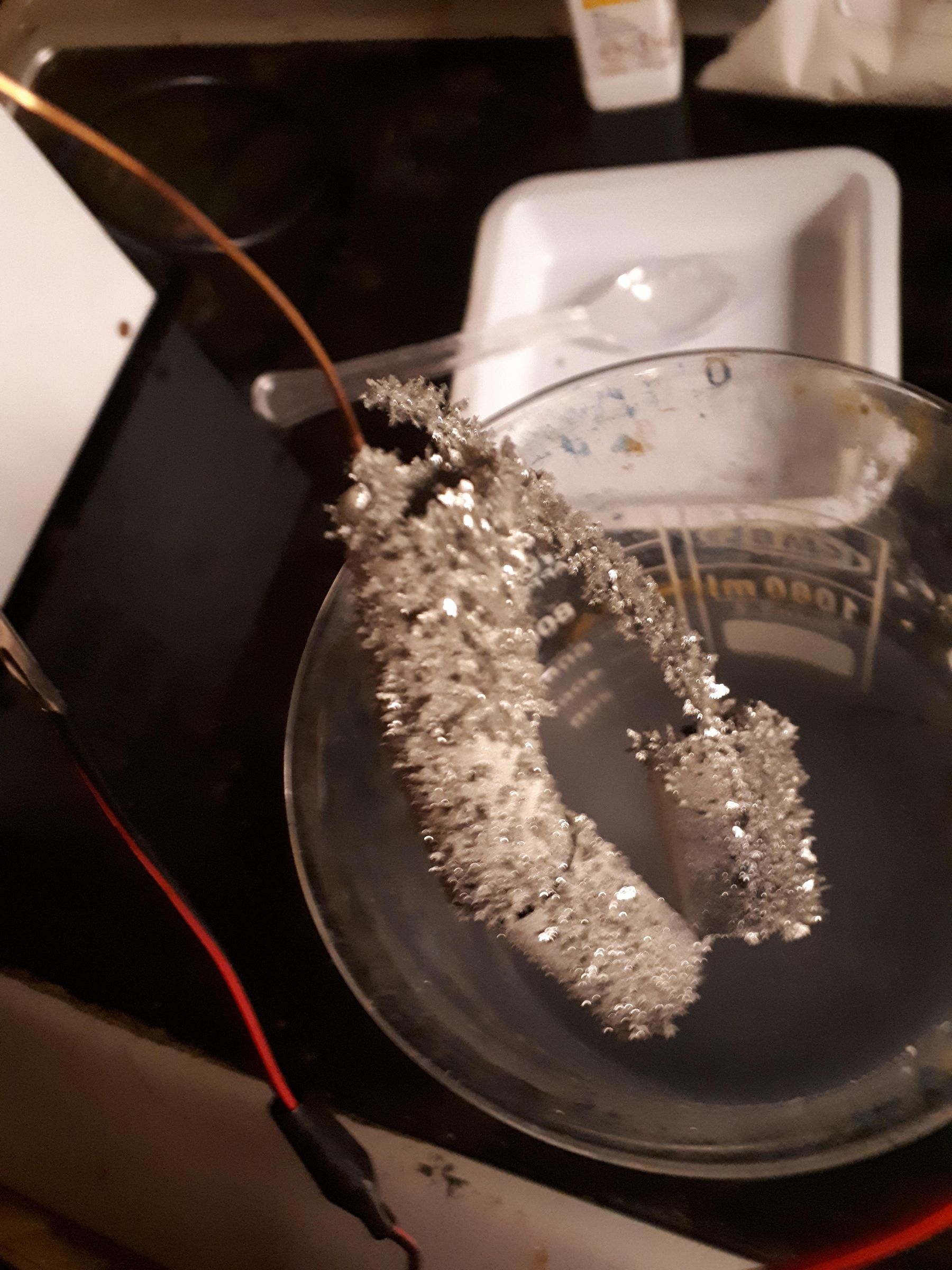 Tin Plating and Tin Crystal Electroplating Made Easy Method for Art ...