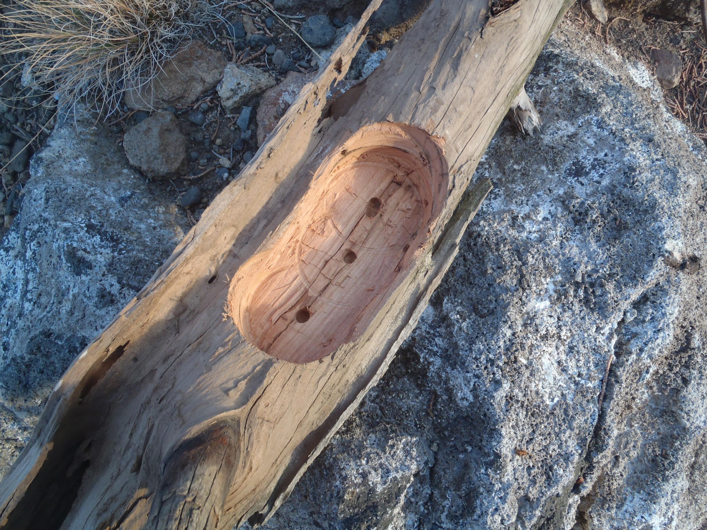 Hollow Log Hide It - Instructables