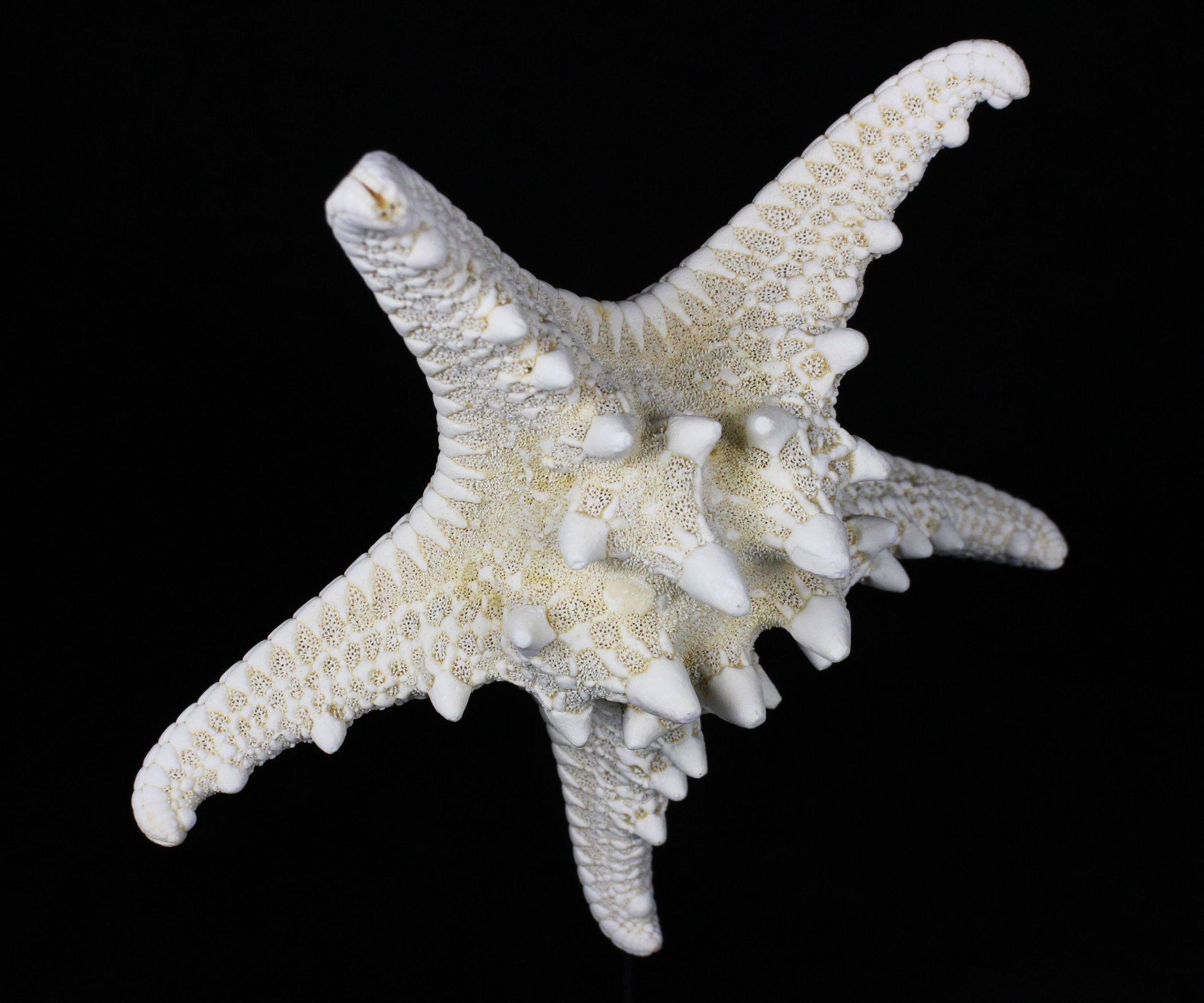 Shooting for Photogrammetry : 8 Steps - Instructables