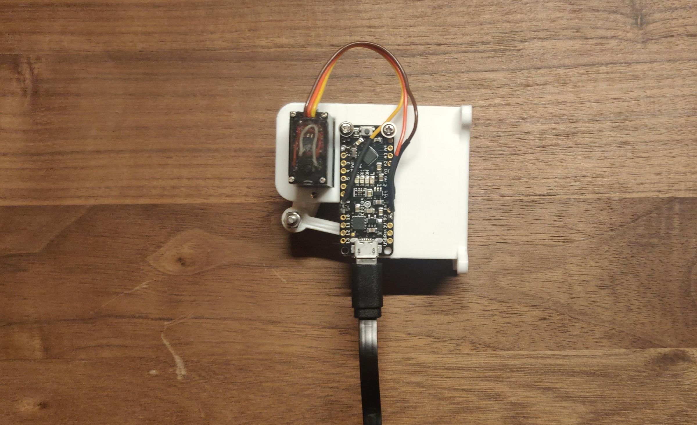 Empathetic Designing: Arduino Automatic Rat Feeder : 18 Steps ...