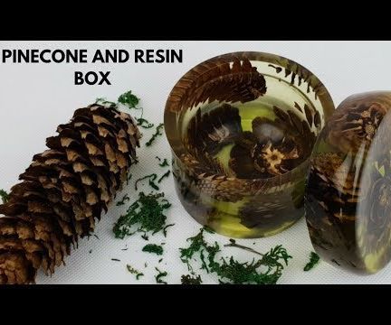Pinecone Box : 6 Steps (with Pictures) - Instructables