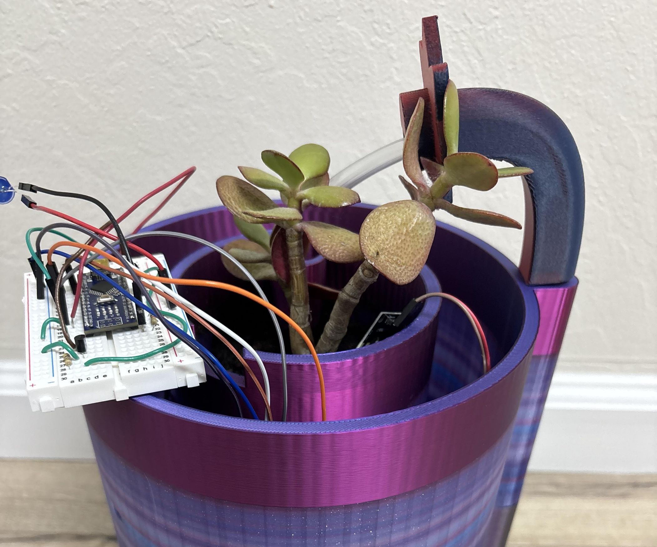 Self-Watering Plant Pot by Samhita Modala, Poojha Suresh Kumar, Riya ...