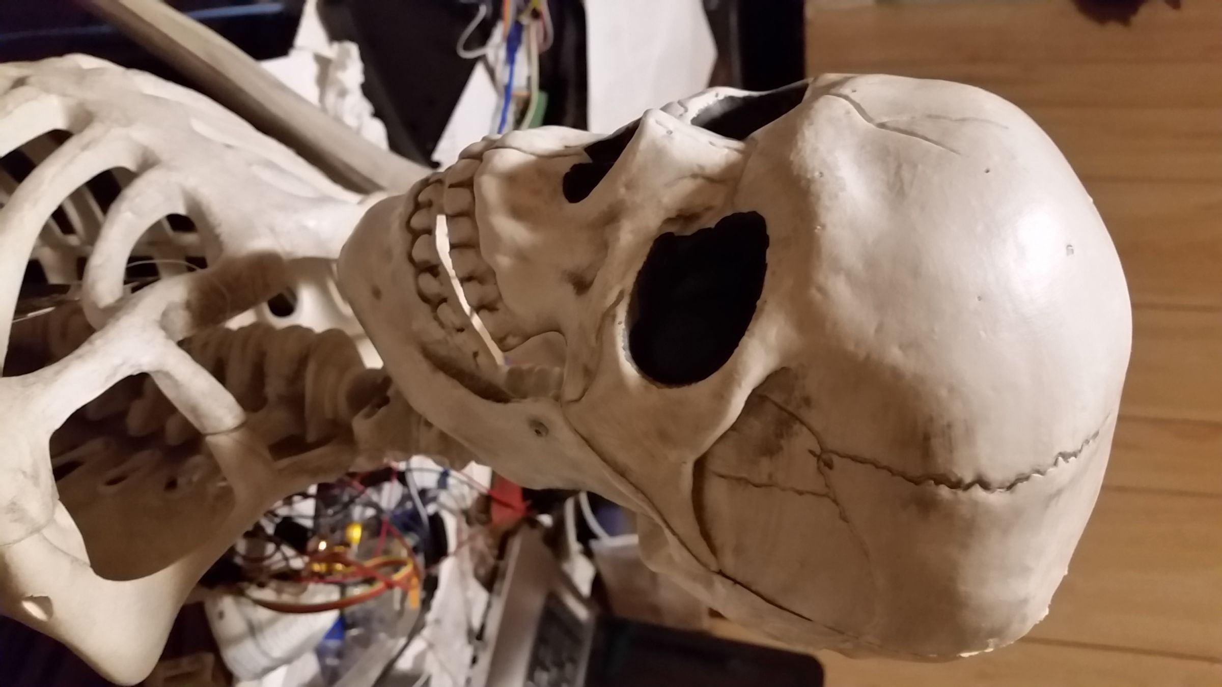 Intelligent Talking Skull -- Vinnie : 9 Steps (with Pictures ...