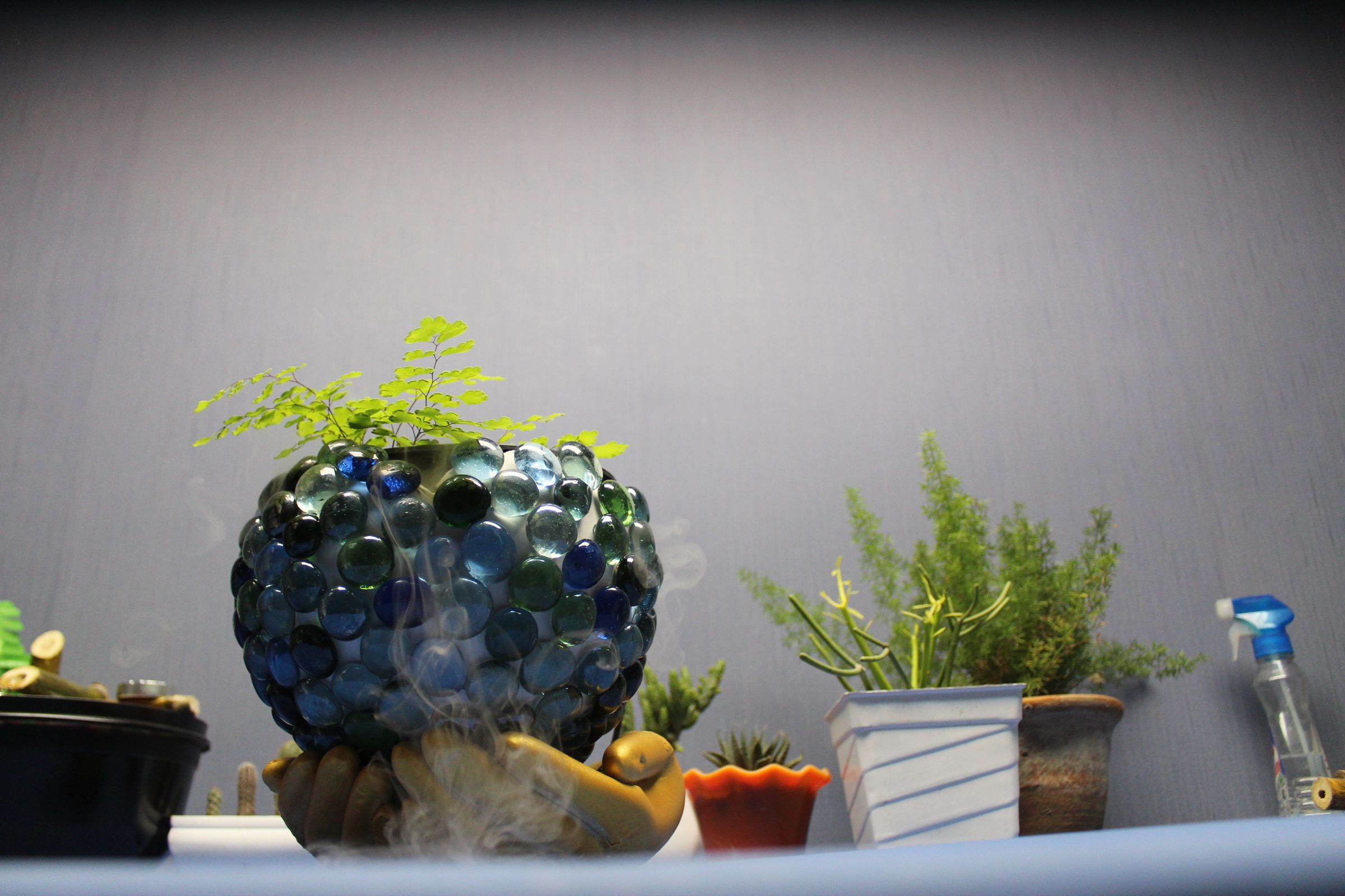 How to Make Mist Planter for Ferns | Indoor Garden DIY by RusticKraft ...