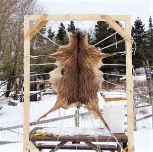 Make a Goatskin Bodhrán Frame Drum : 5 Steps (with Pictures ...